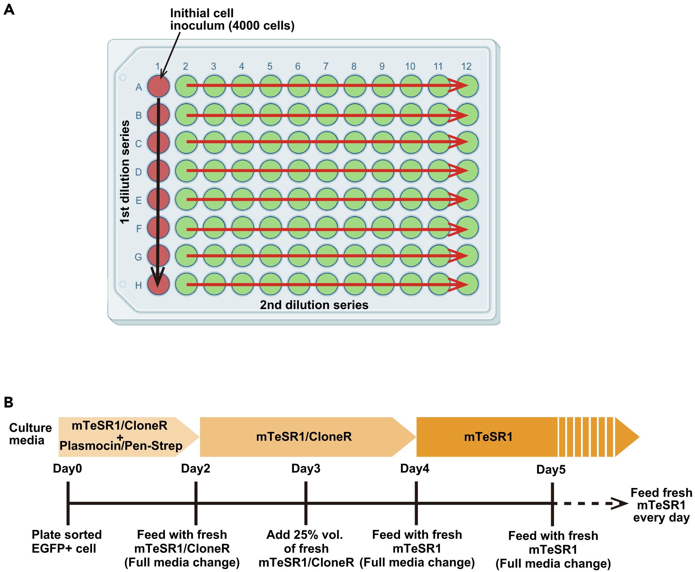 Cell Press: STAR Protocols