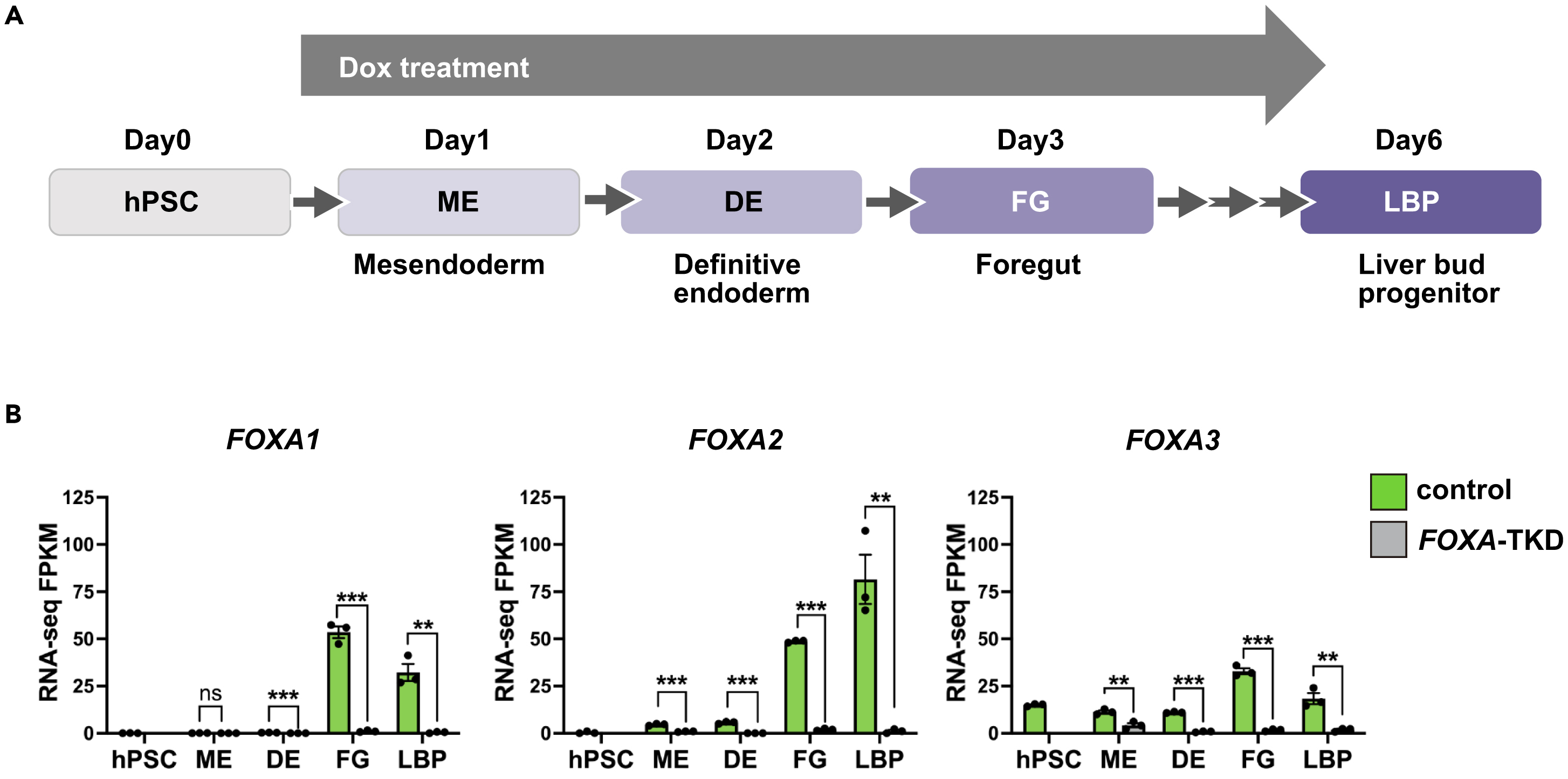 Cell Press: STAR Protocols