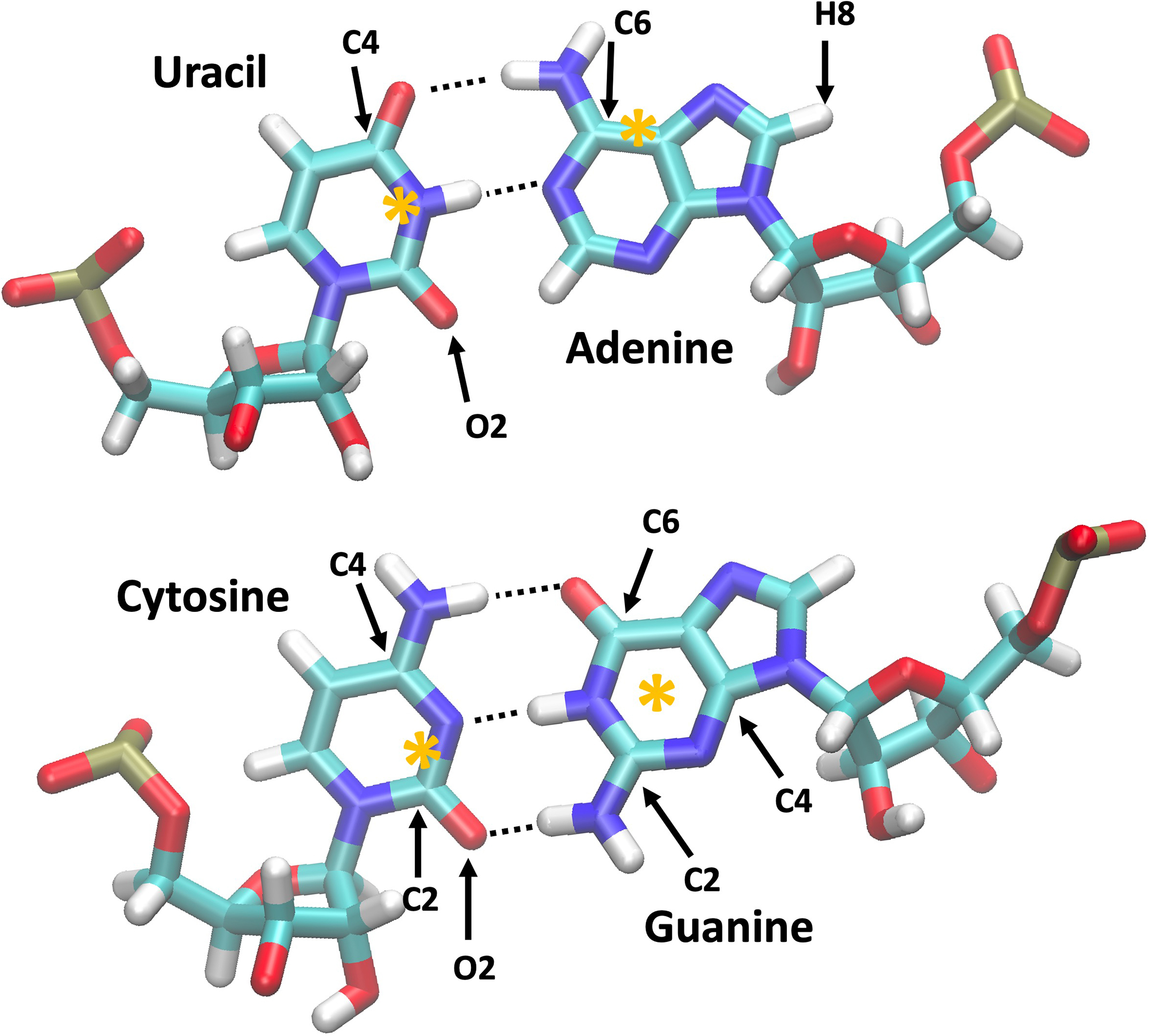 Cell Press: STAR Protocols