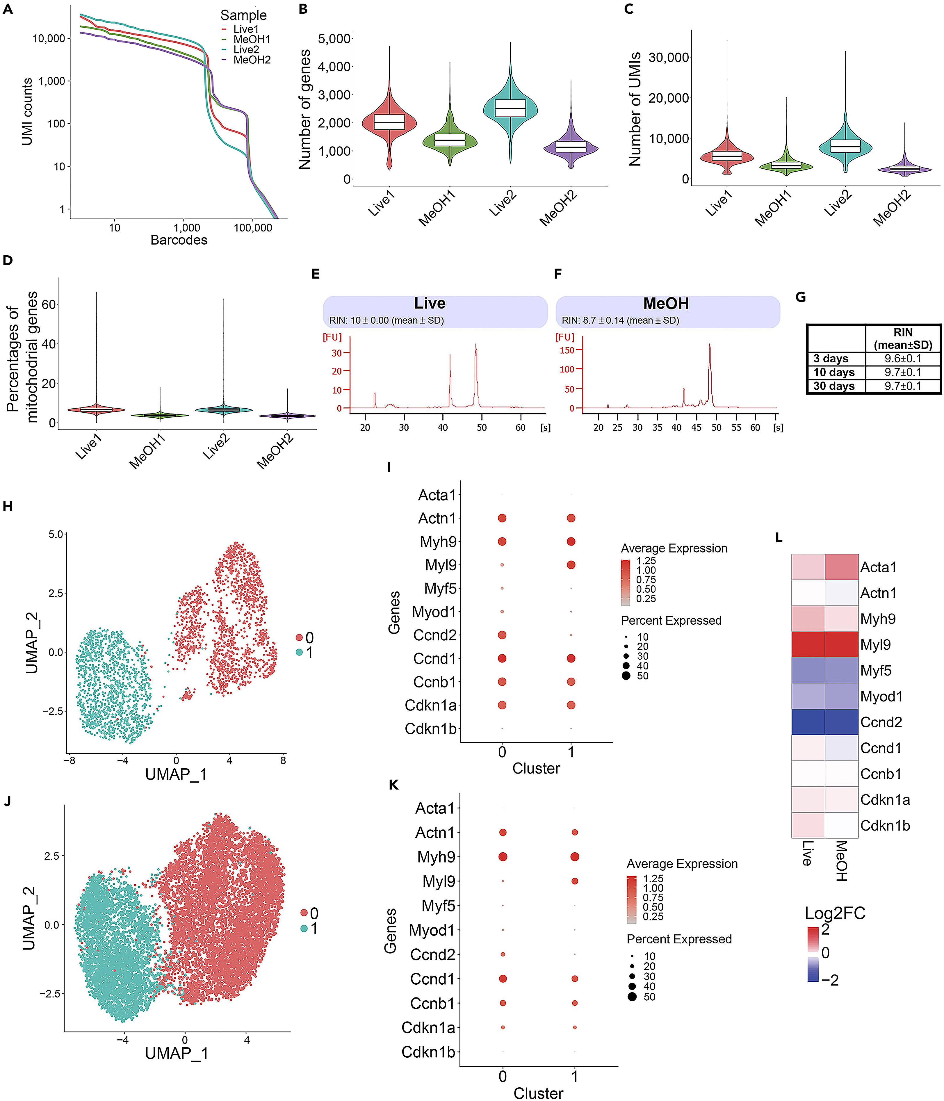 Cell Press: STAR Protocols