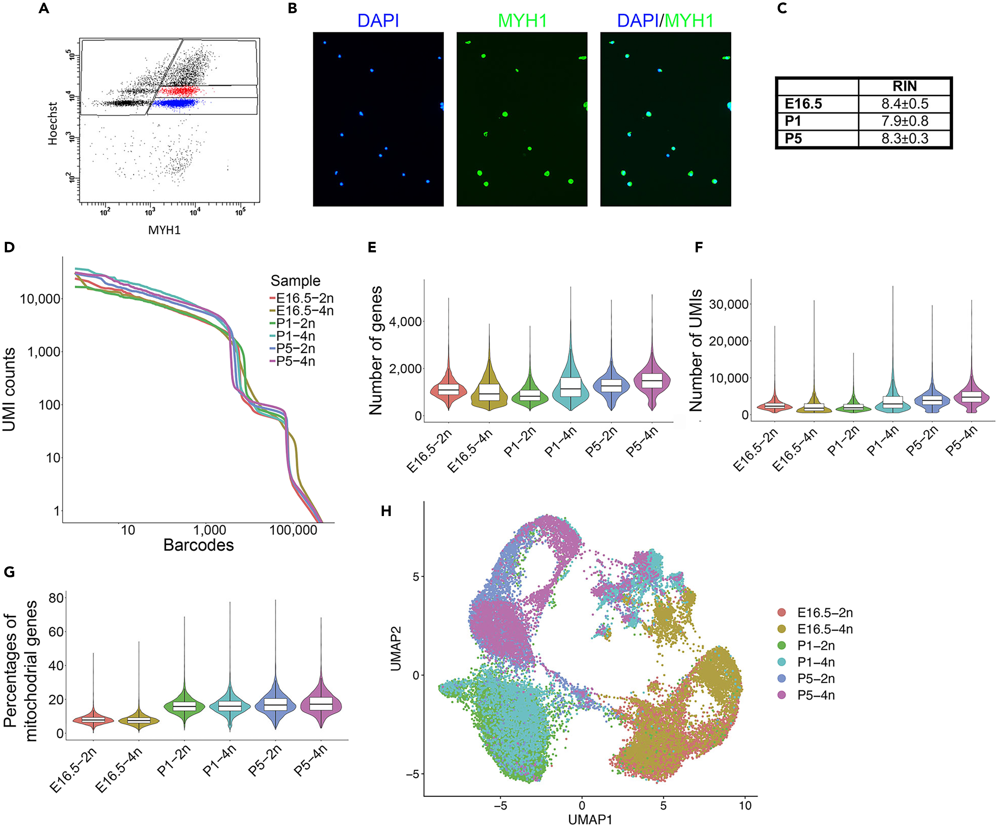 Cell Press: STAR Protocols