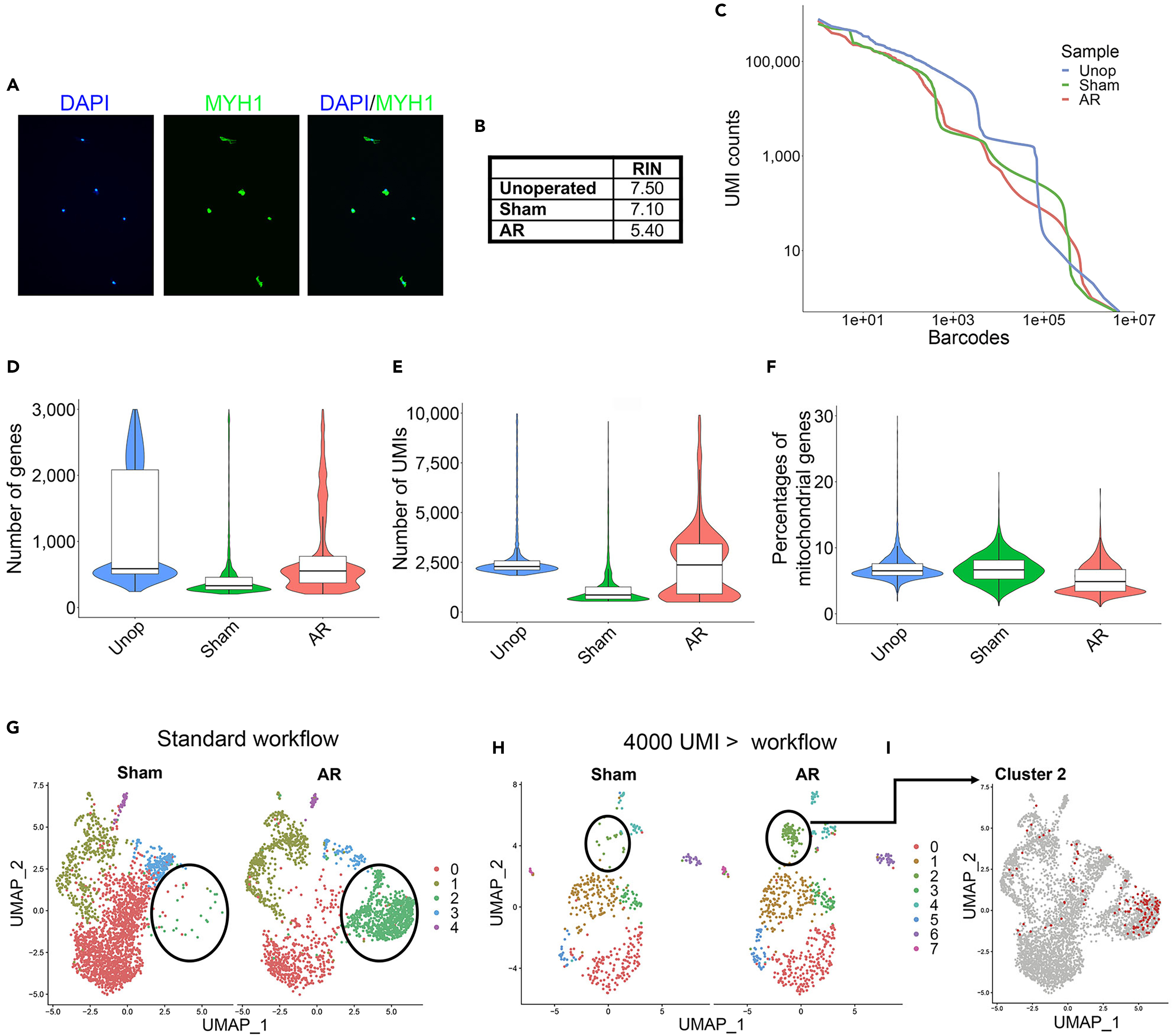 Cell Press: STAR Protocols