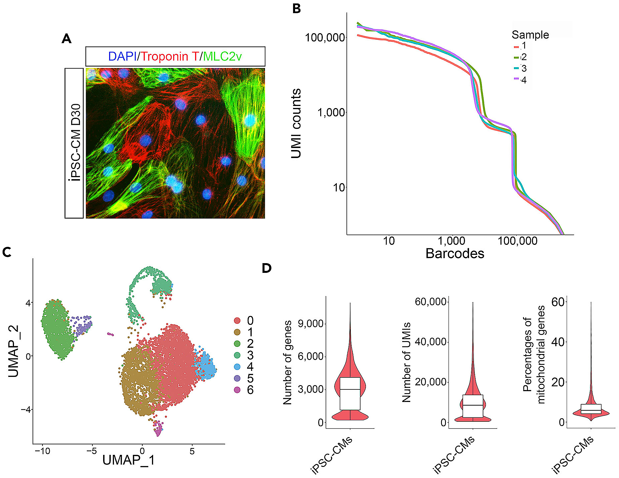 Cell Press: STAR Protocols