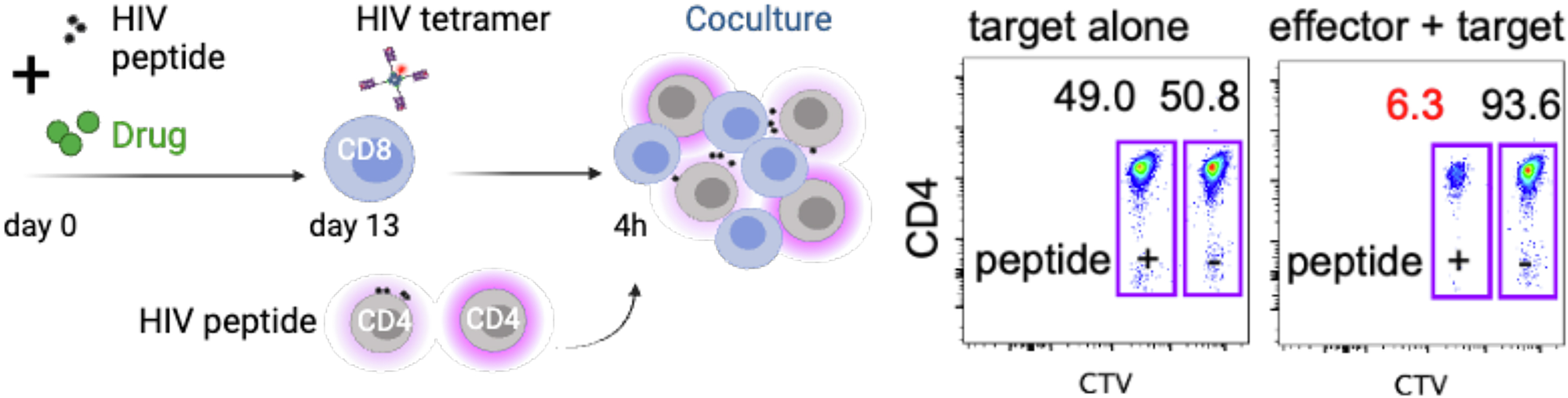 Cell Press: STAR Protocols
