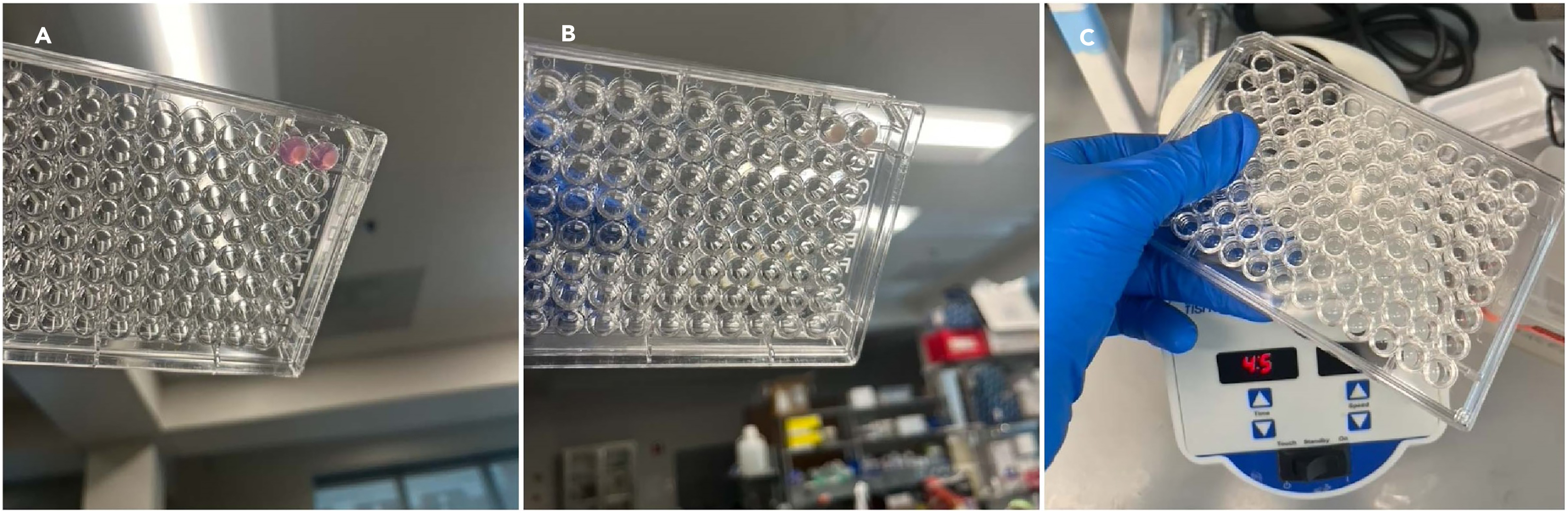 Cell Press: STAR Protocols