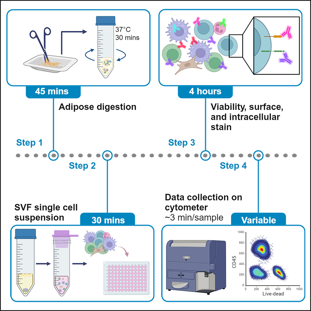 Cell Press: STAR Protocols