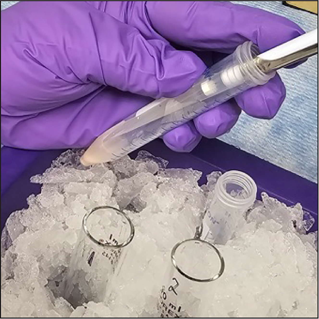 Cell Press: STAR Protocols