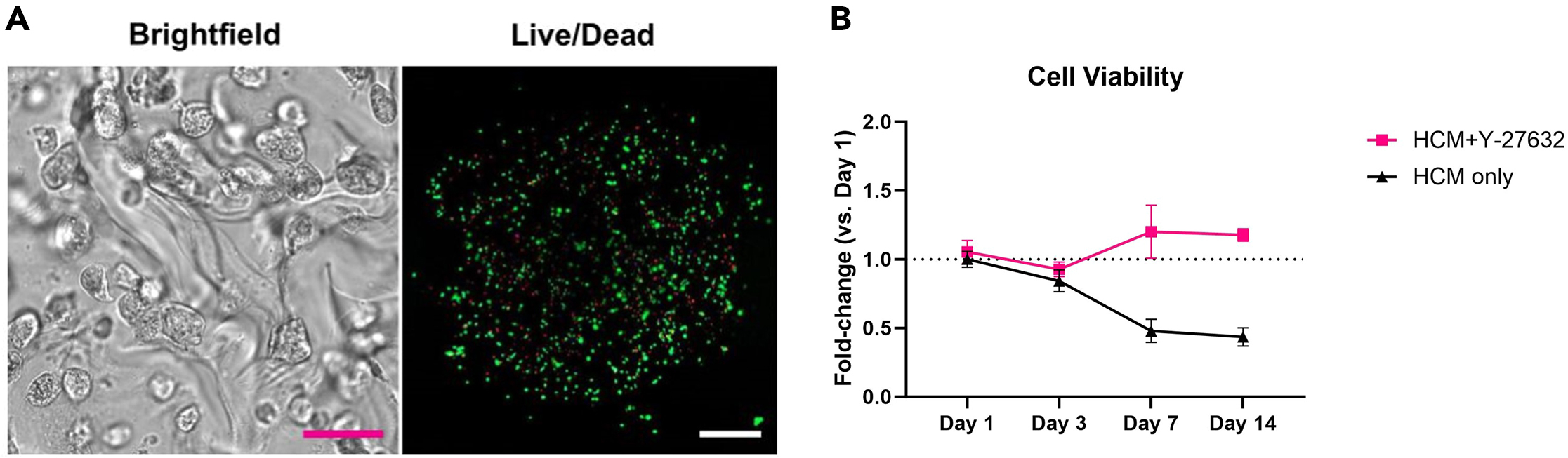 Cell Press: STAR Protocols