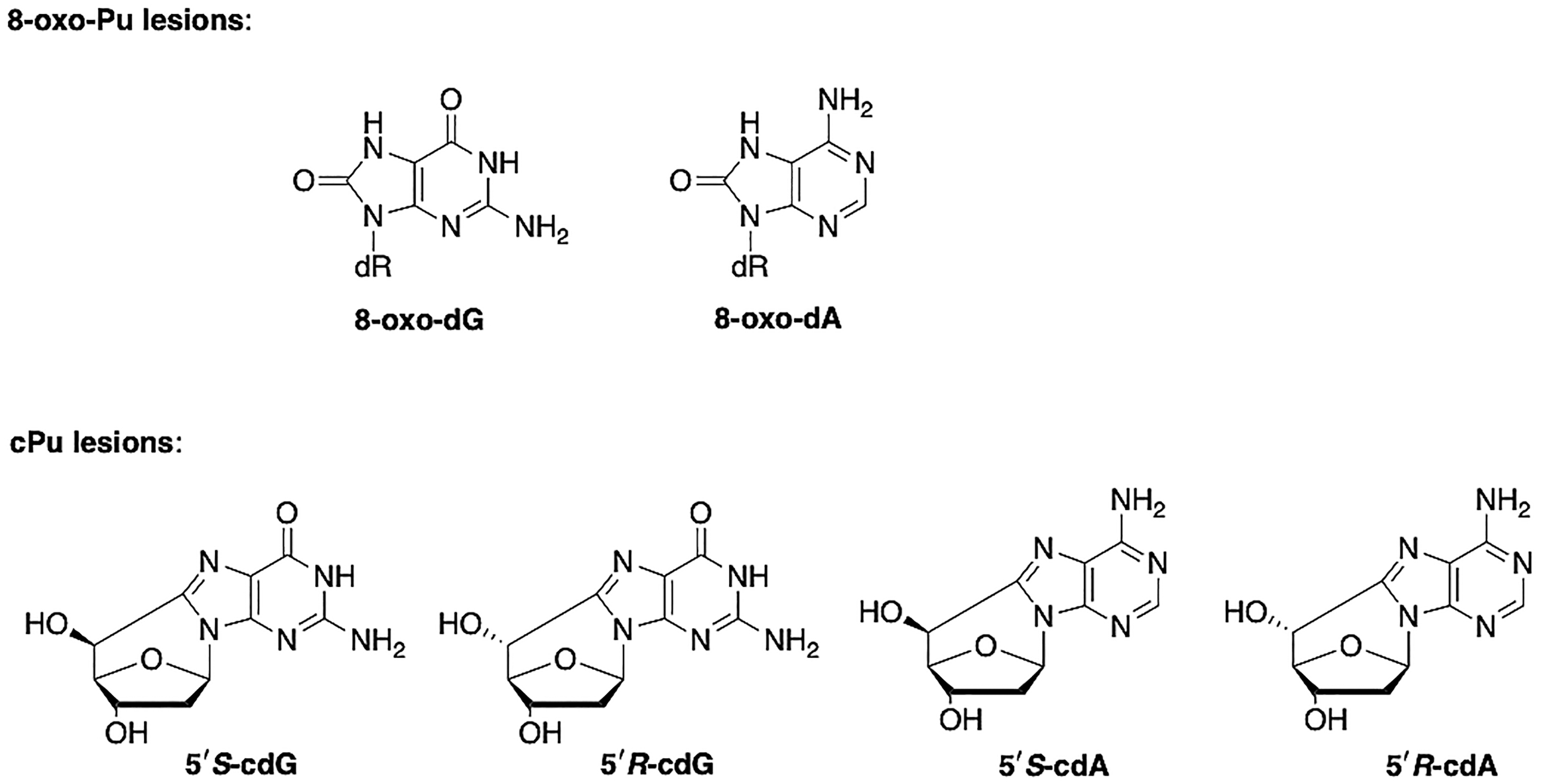 Cell Press: STAR Protocols