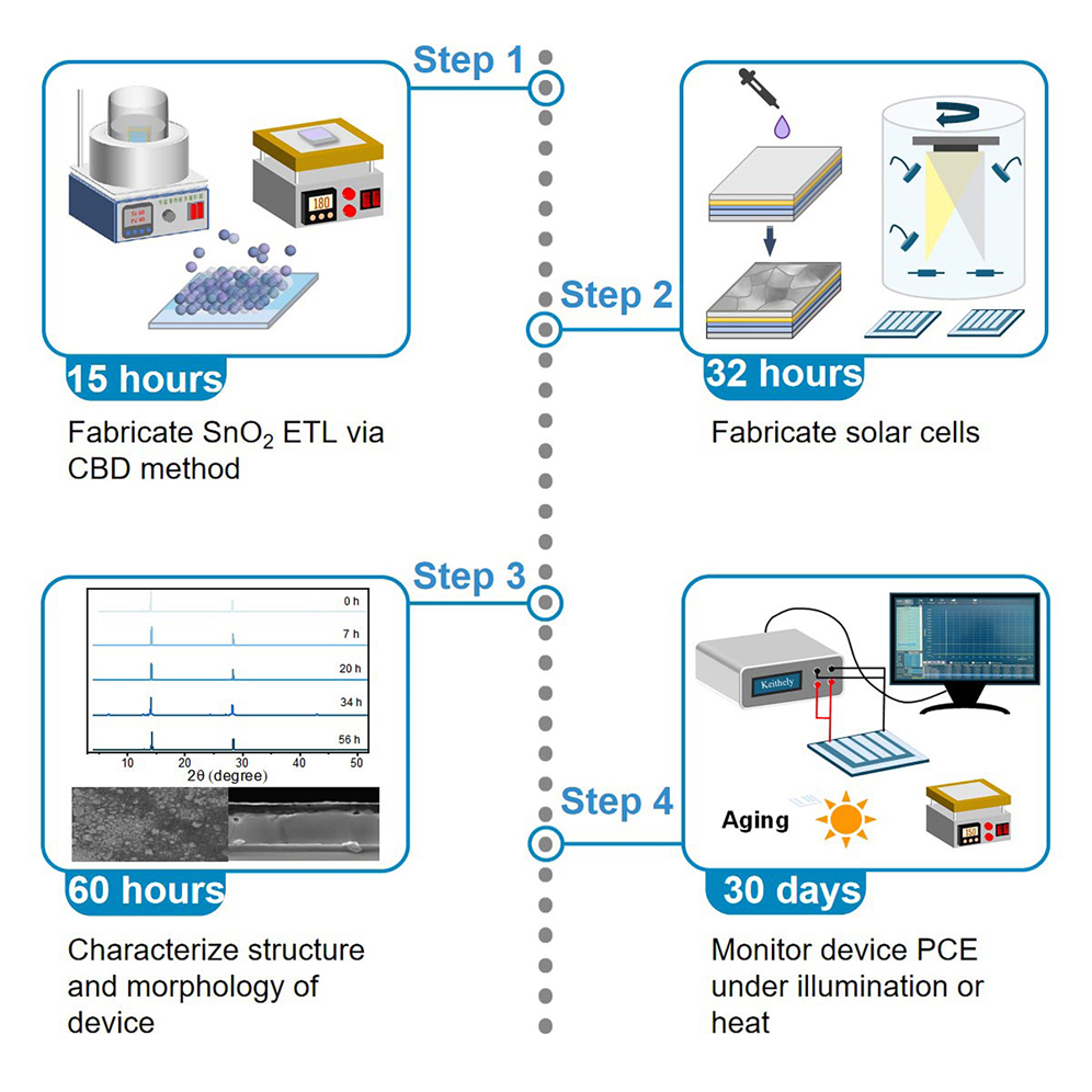 Cell Press: STAR Protocols