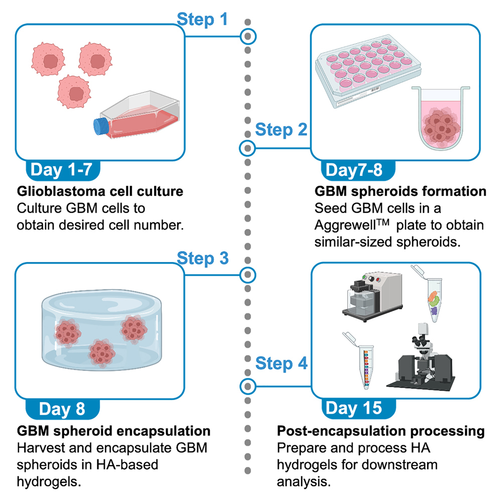 Cell Press: STAR Protocols