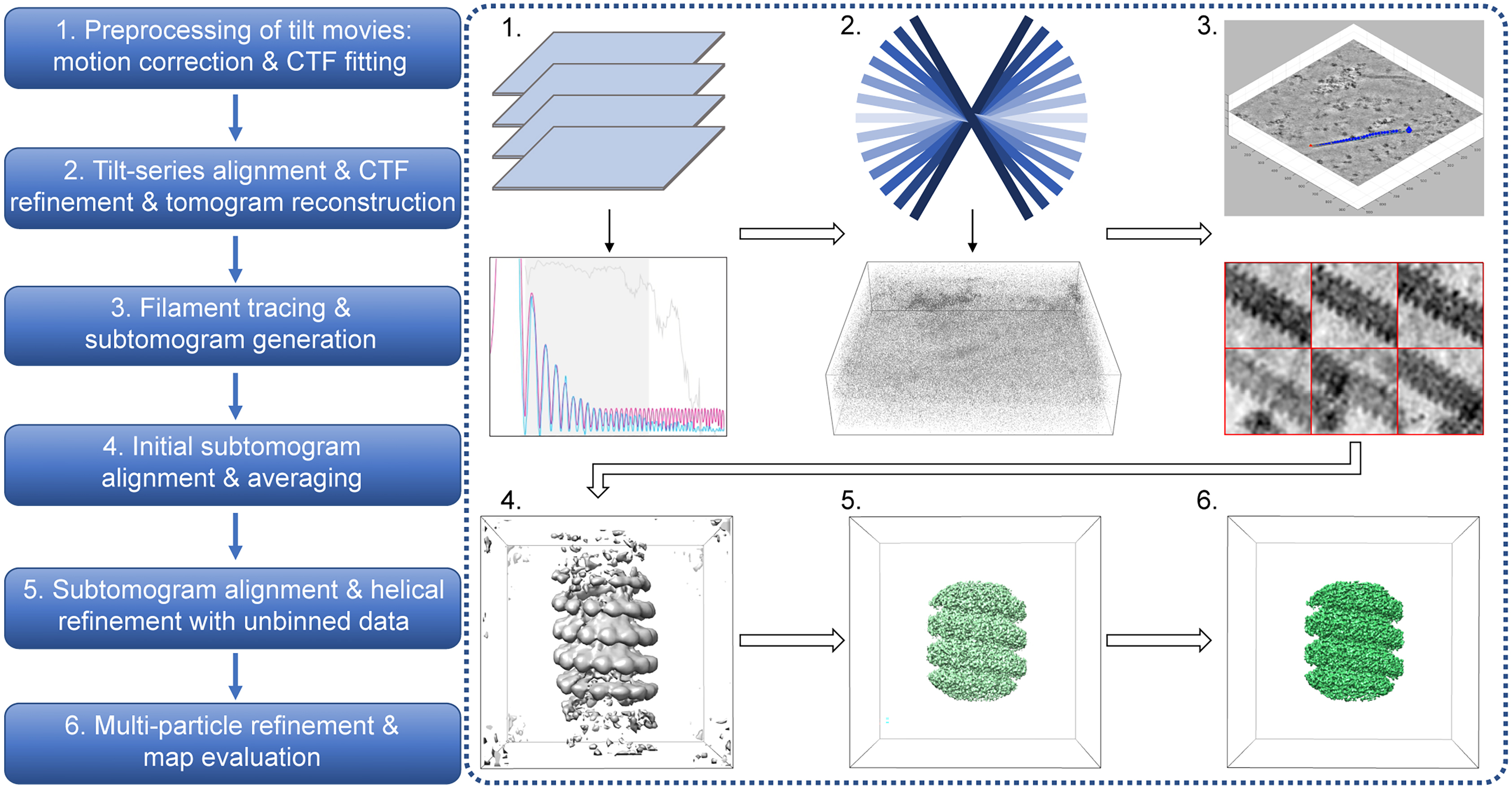 Cell Press: STAR Protocols