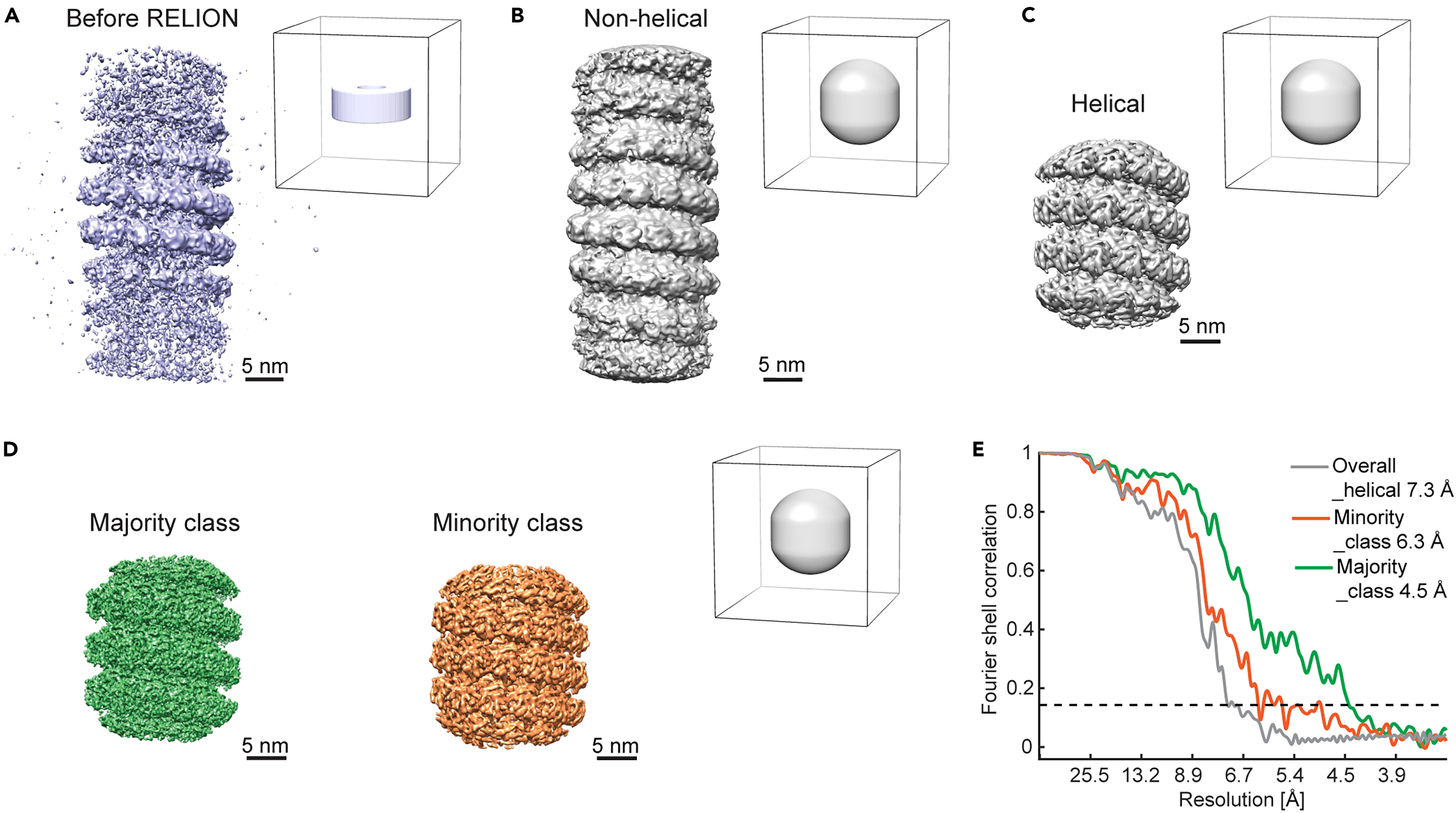 Cell Press: STAR Protocols