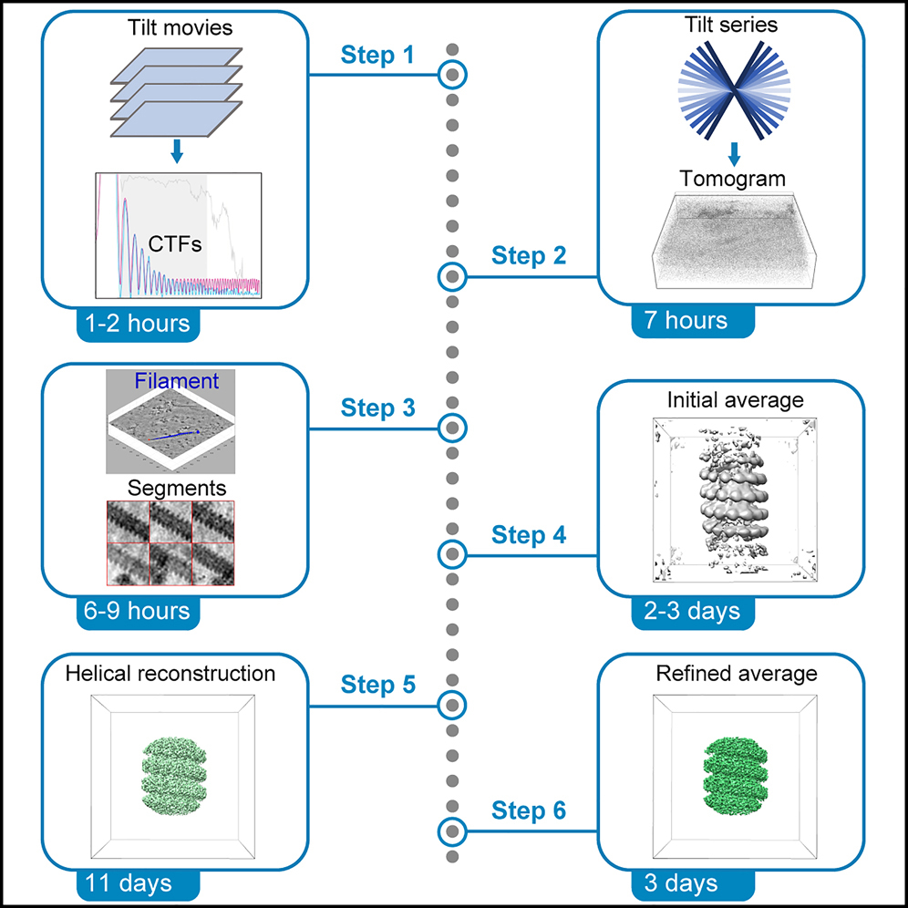Cell Press: STAR Protocols