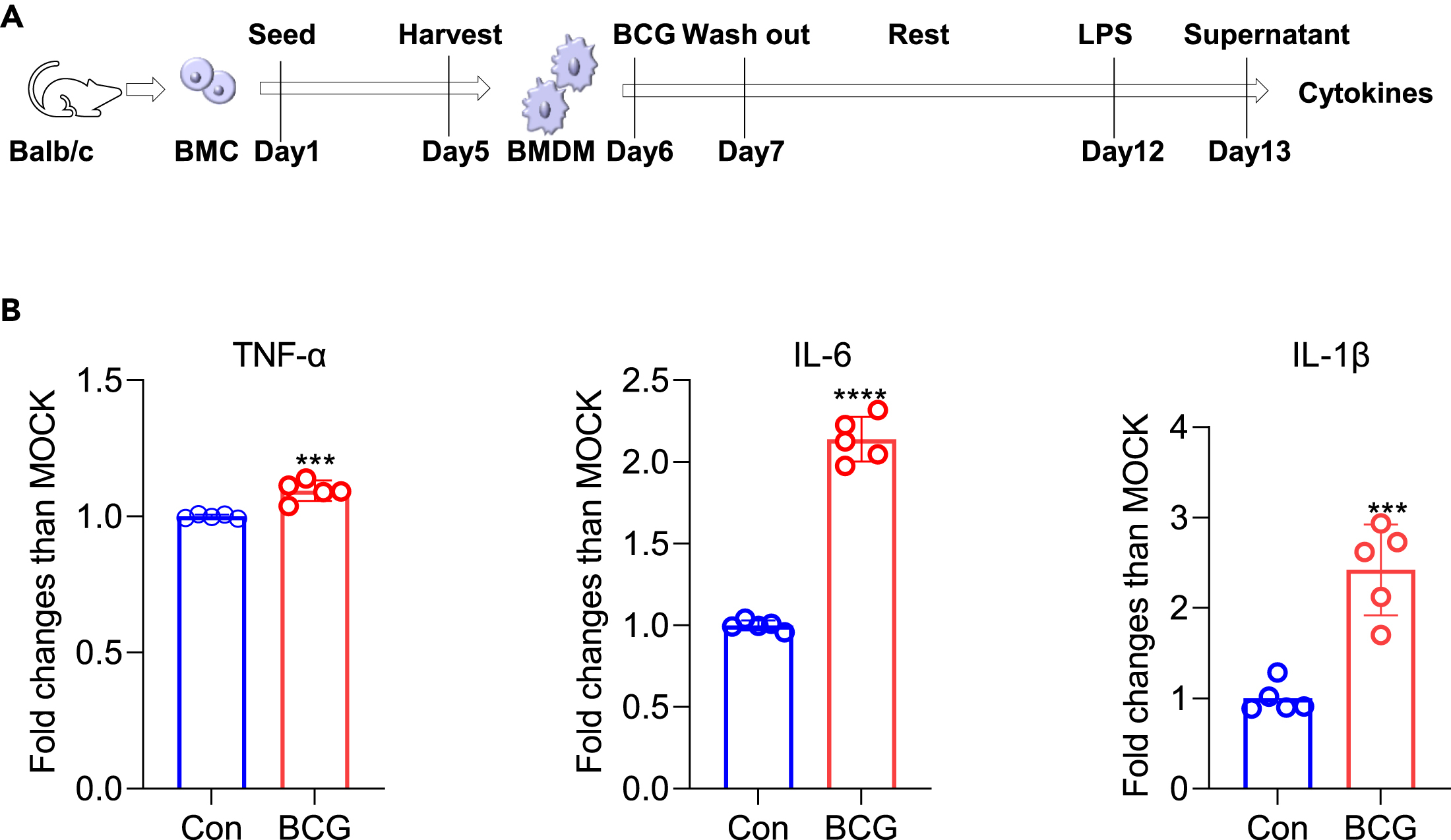 Cell Press: STAR Protocols