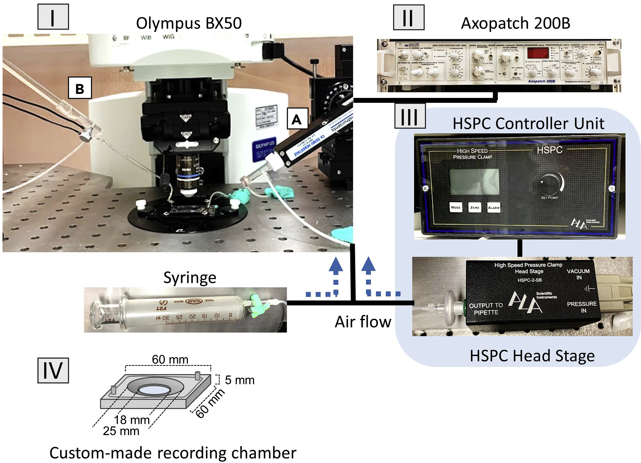 Cell Press: STAR Protocols