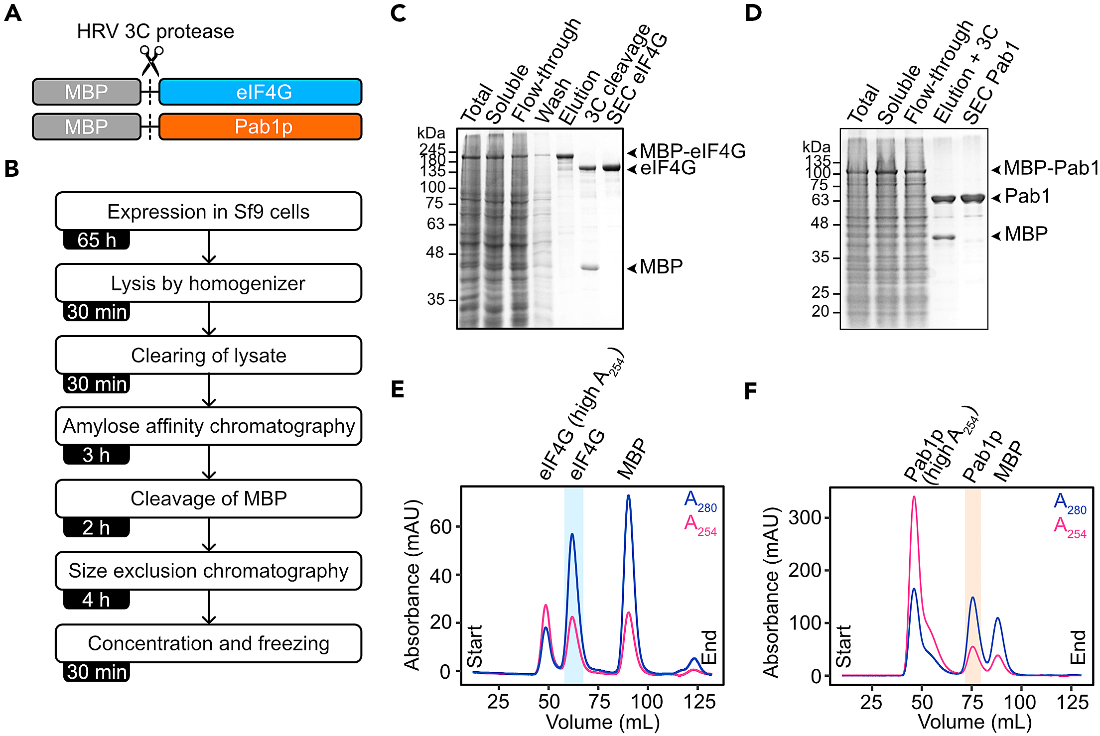 Cell Press: STAR Protocols