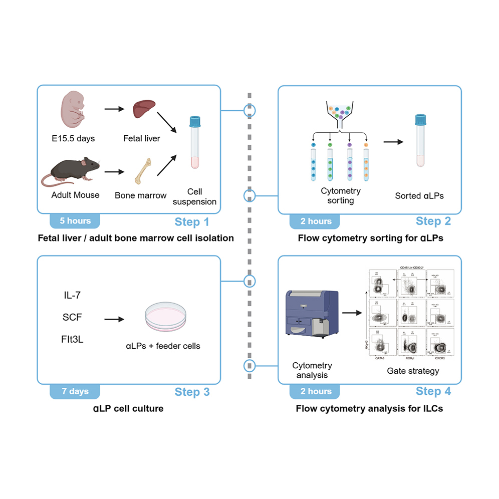 Cell Press: STAR Protocols