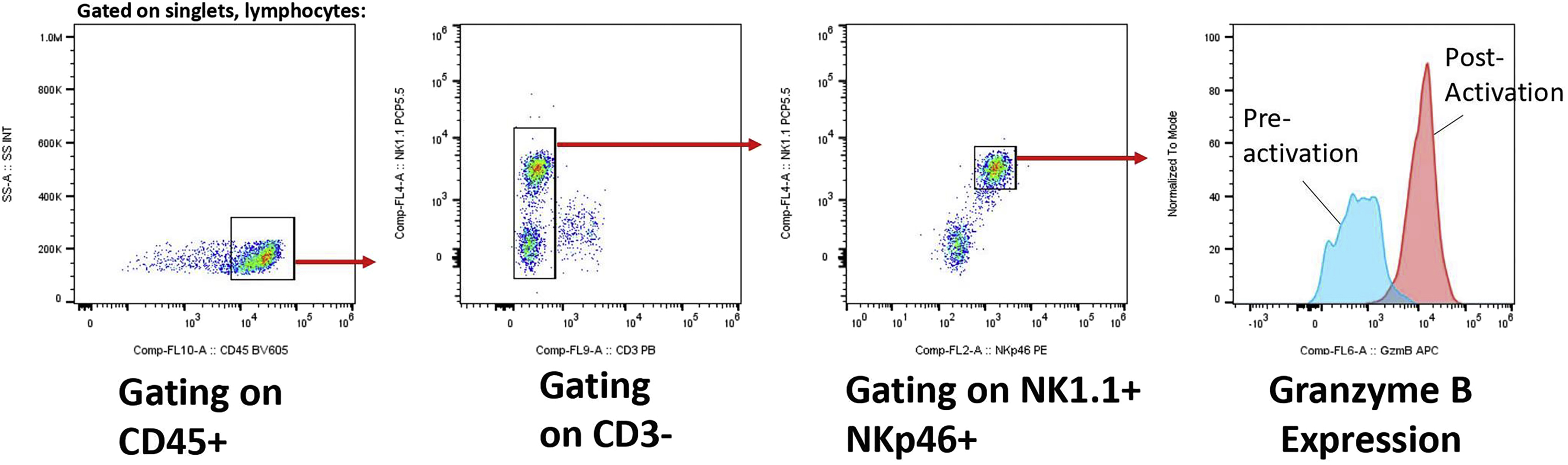 Cell Press: STAR Protocols