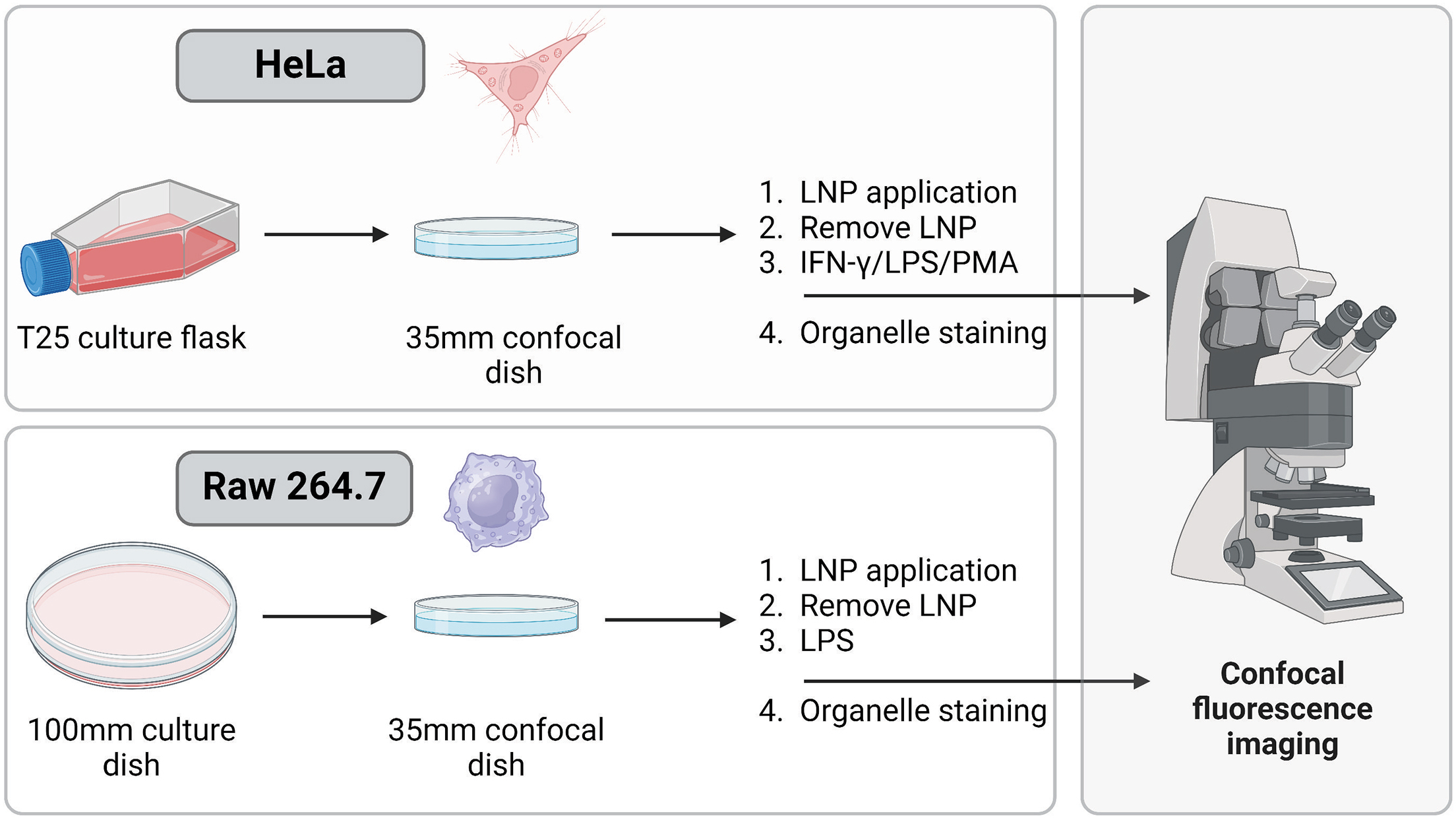 Cell Press: STAR Protocols