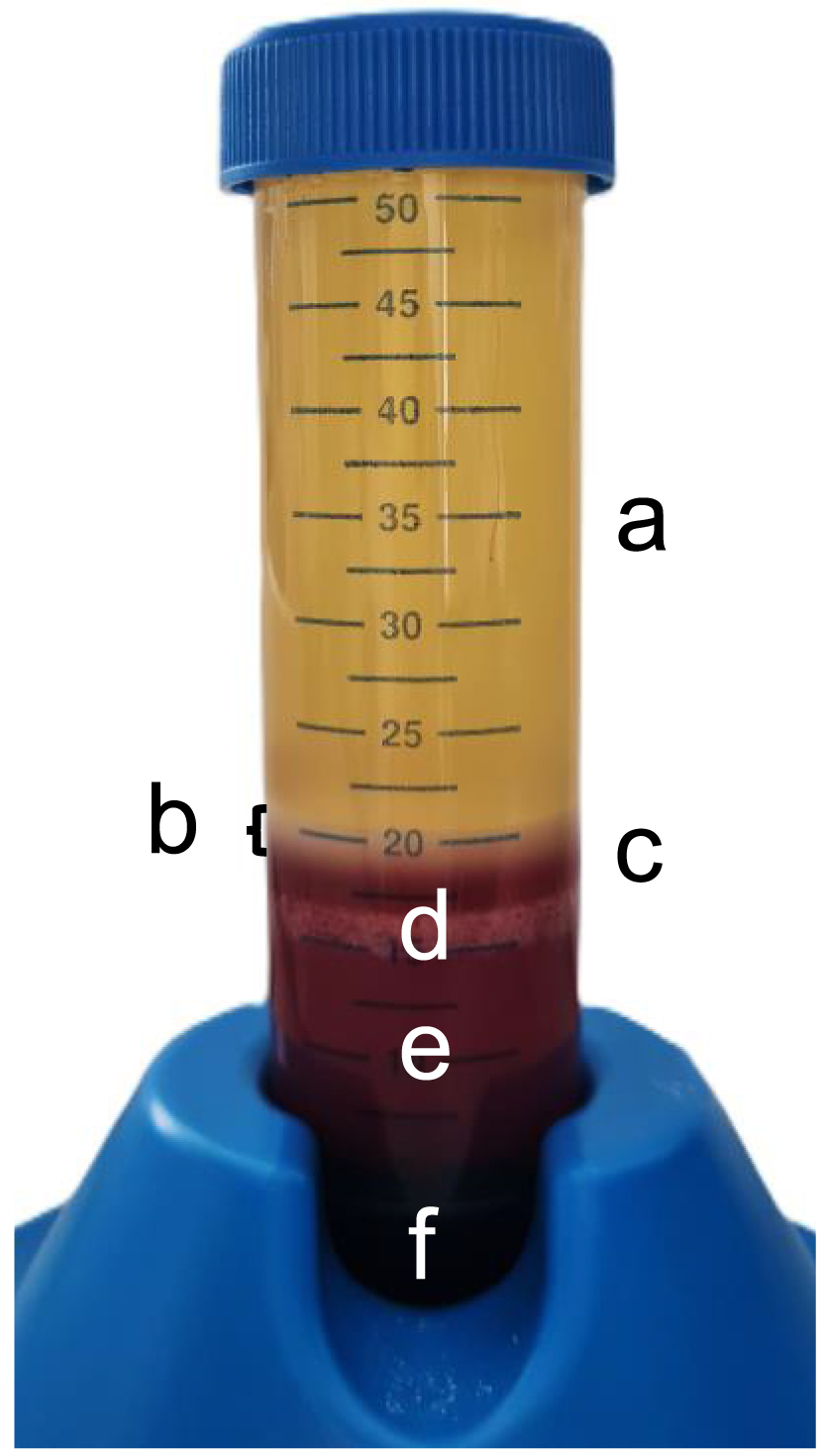 Cell Press: STAR Protocols