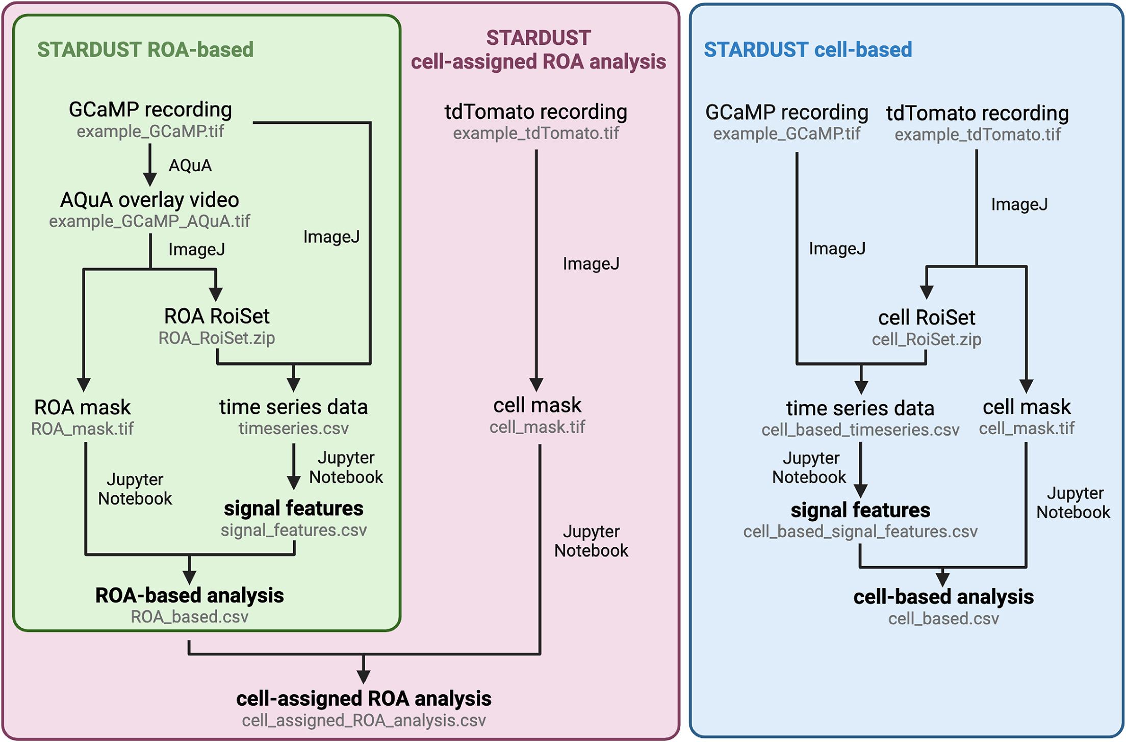 Cell Press: STAR Protocols