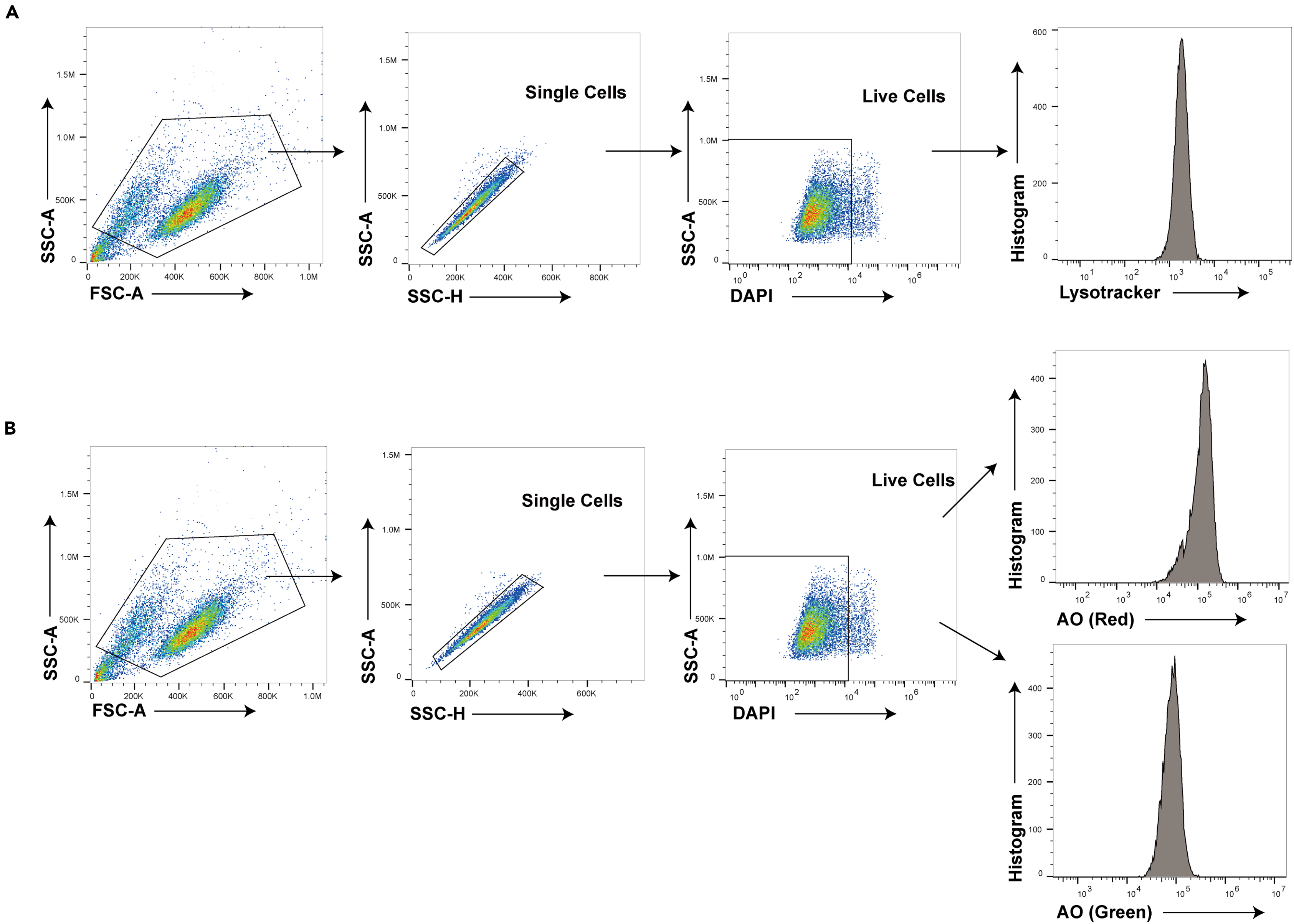Cell Press: STAR Protocols