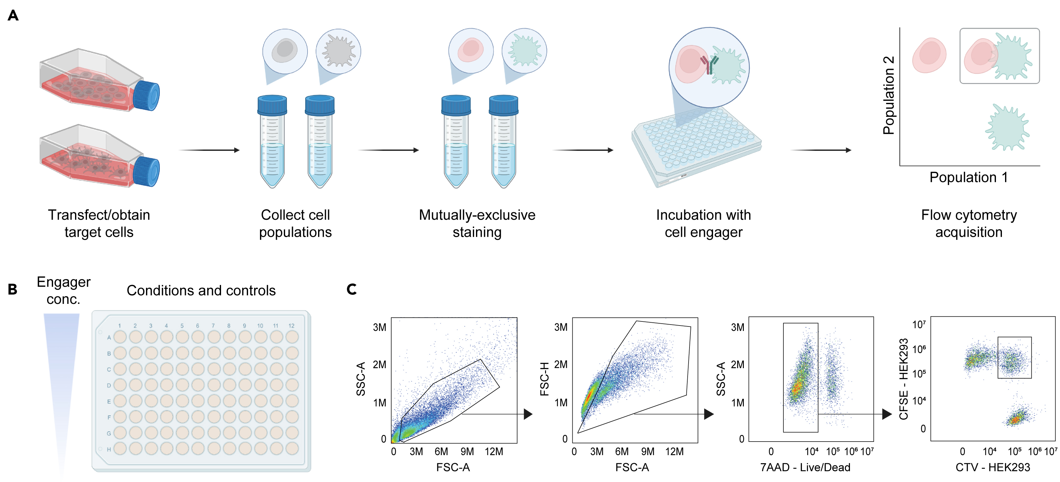 Cell Press: STAR Protocols