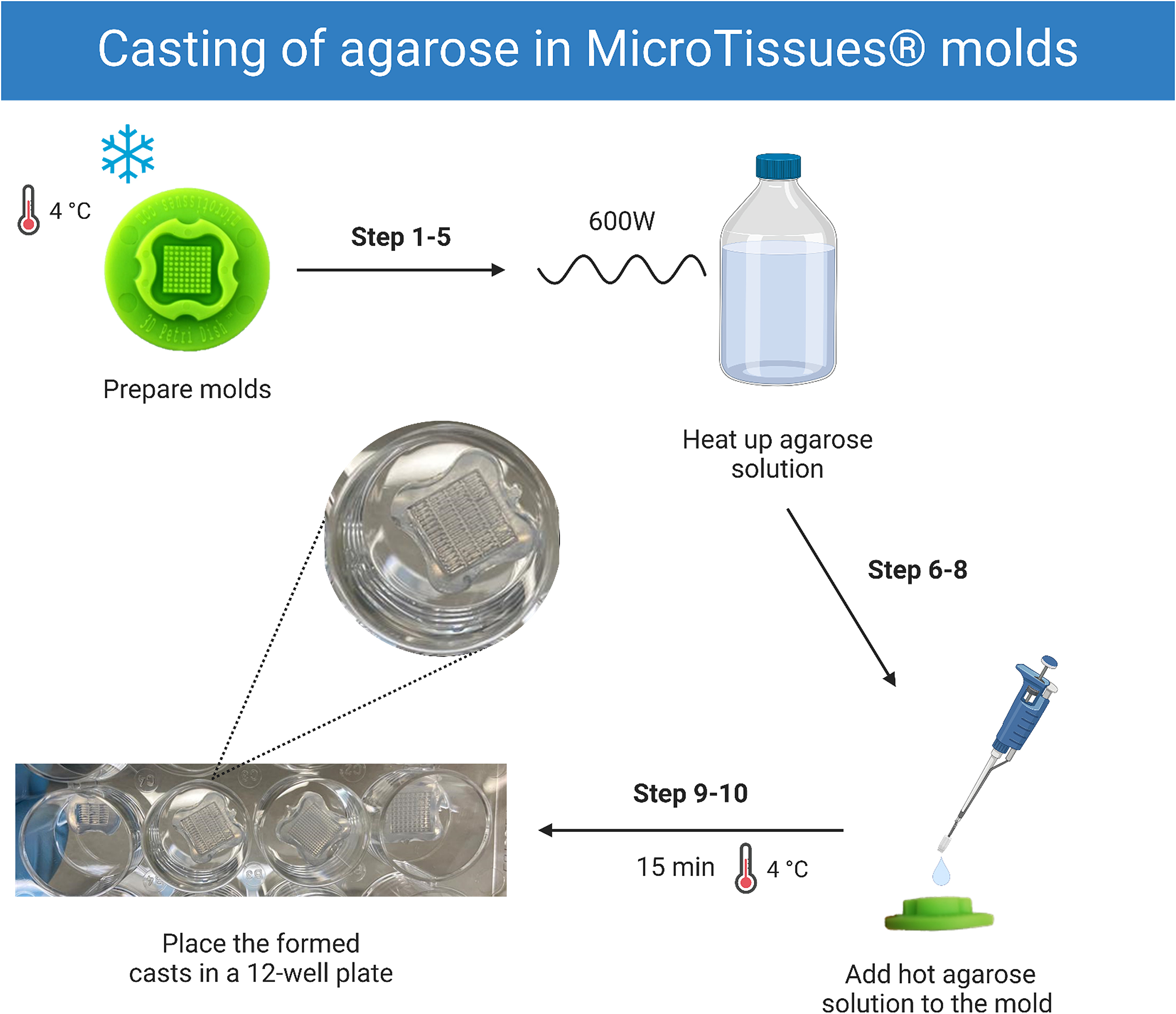 Cell Press: STAR Protocols