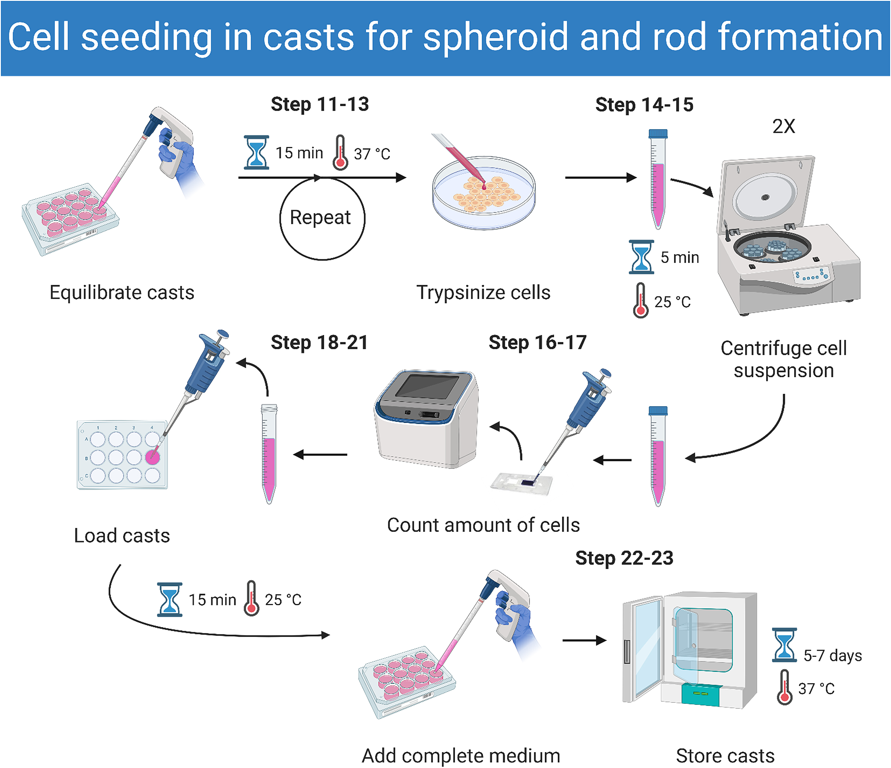 Cell Press: STAR Protocols