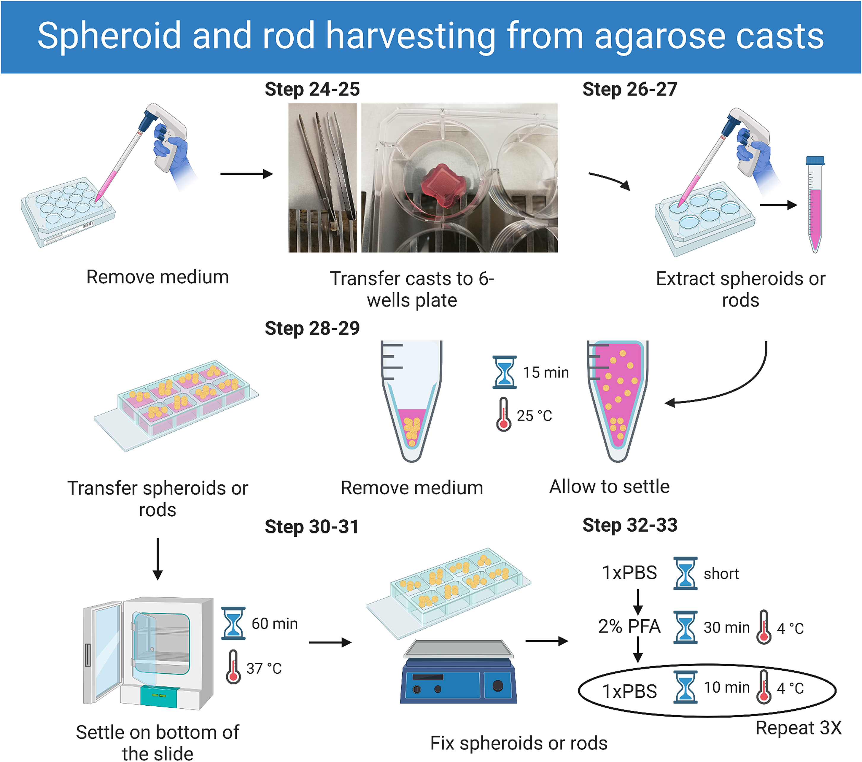 Cell Press: STAR Protocols