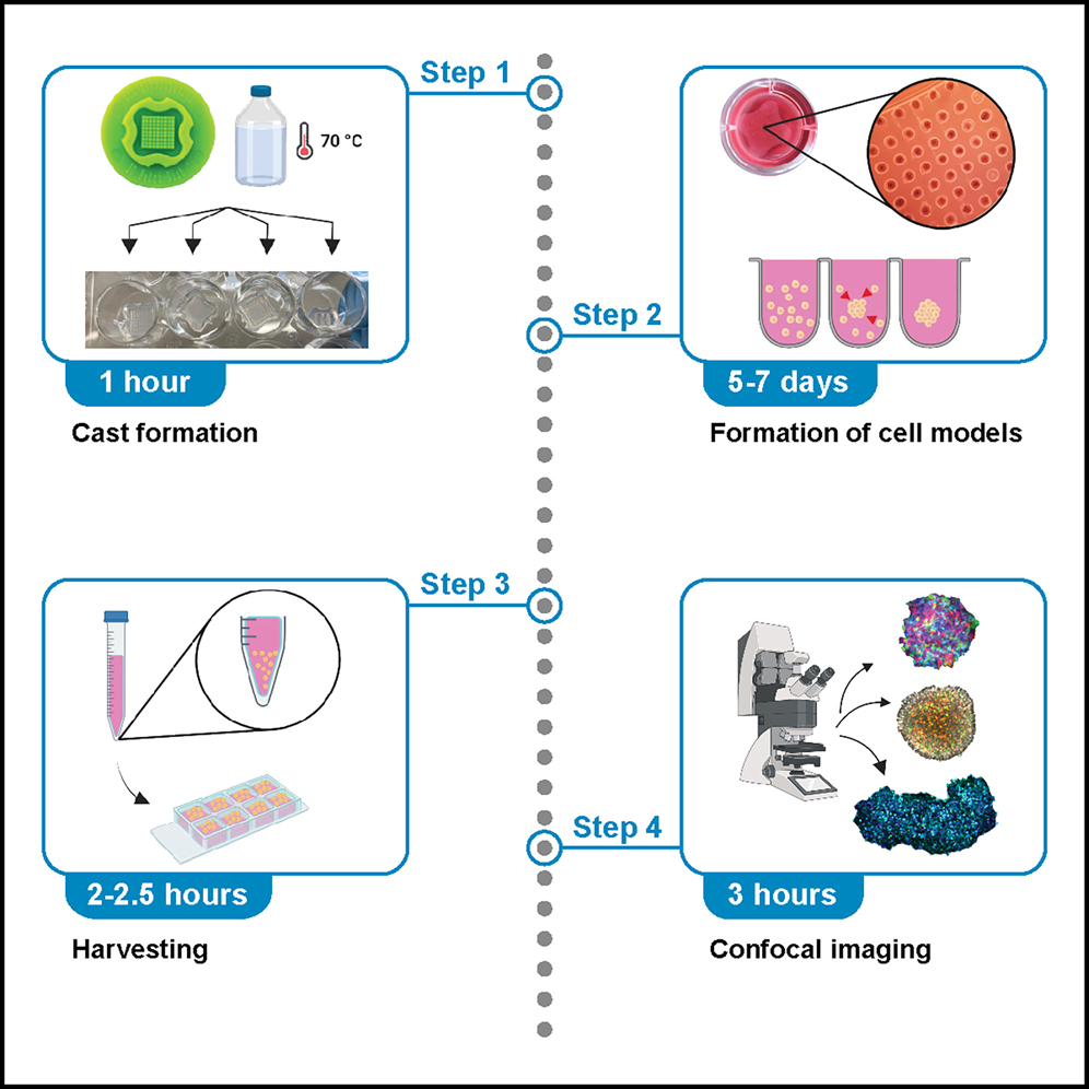 Cell Press: STAR Protocols