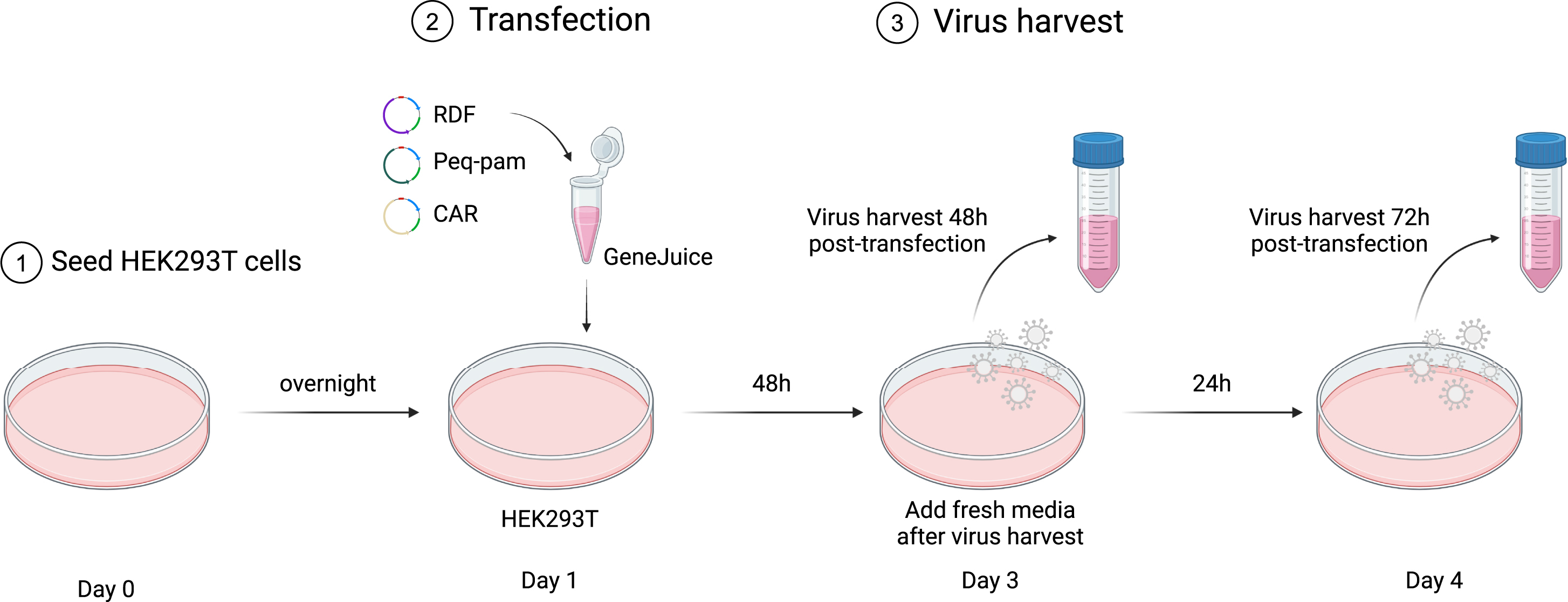 Cell Press: STAR Protocols