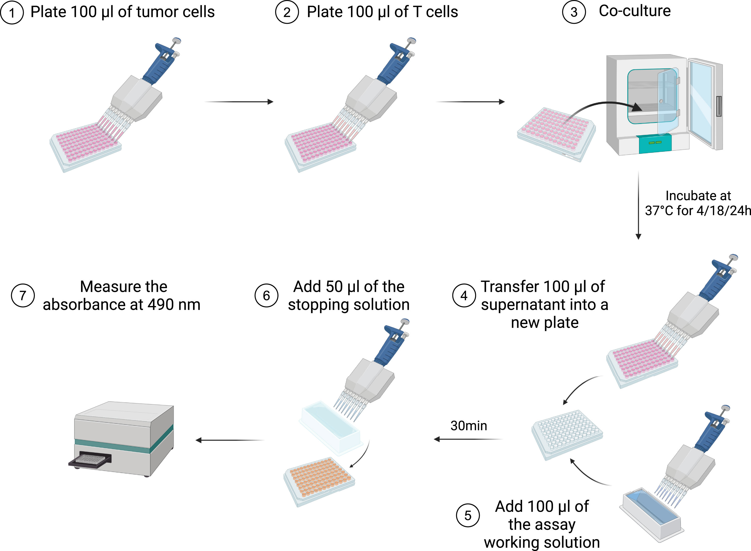 Cell Press: STAR Protocols