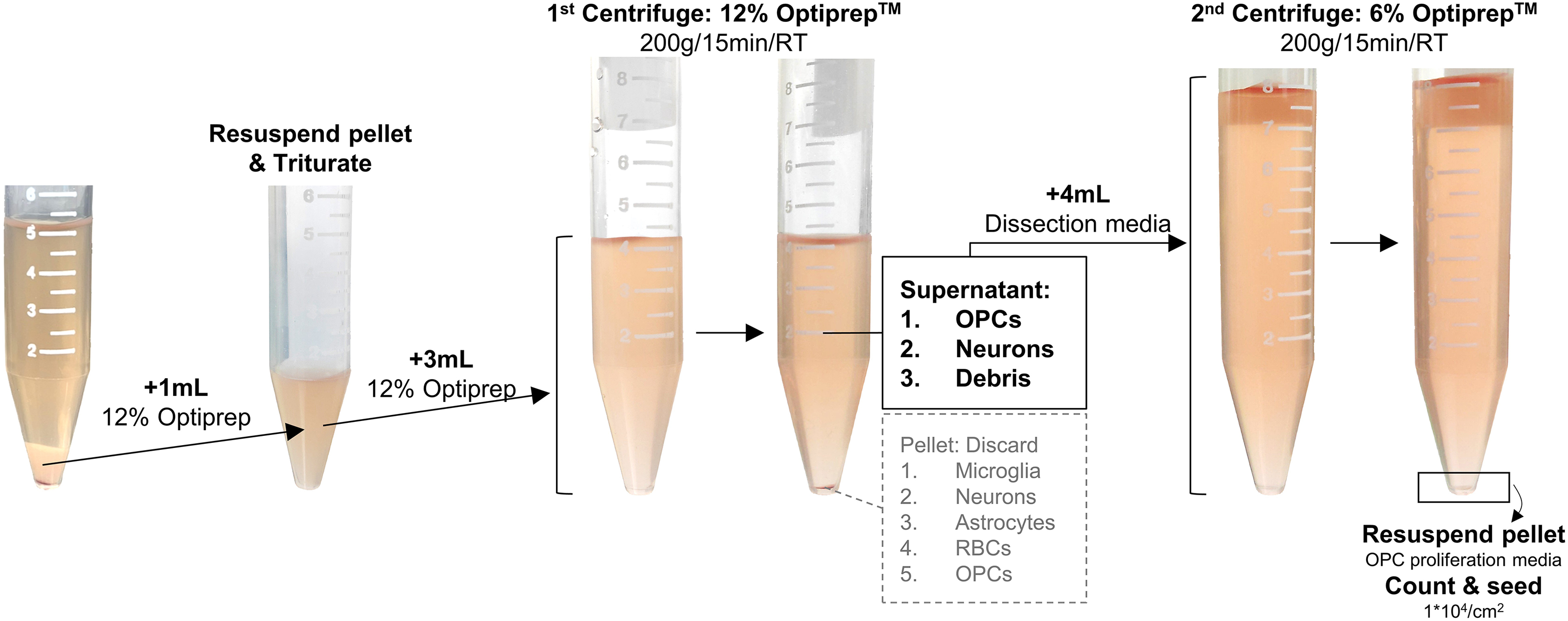 Cell Press: STAR Protocols