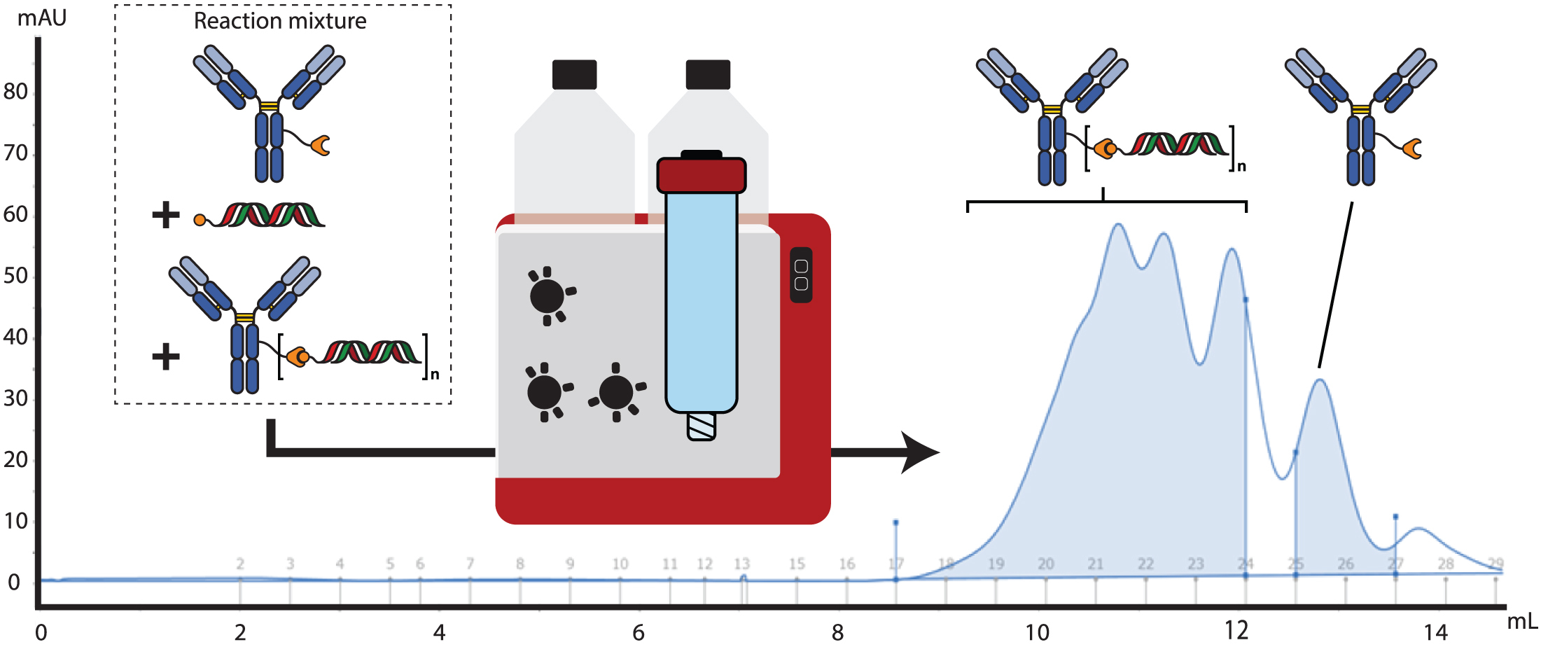 Cell Press: STAR Protocols