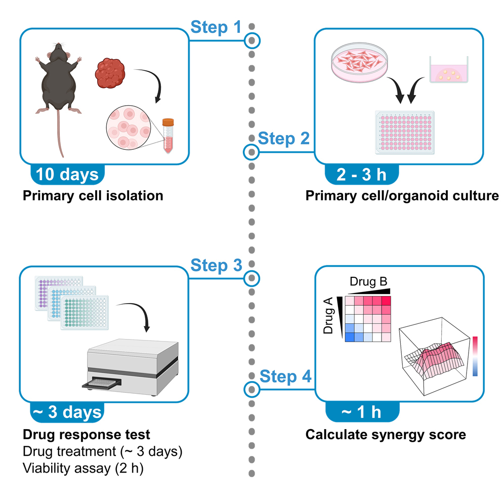 Cell Press: STAR Protocols