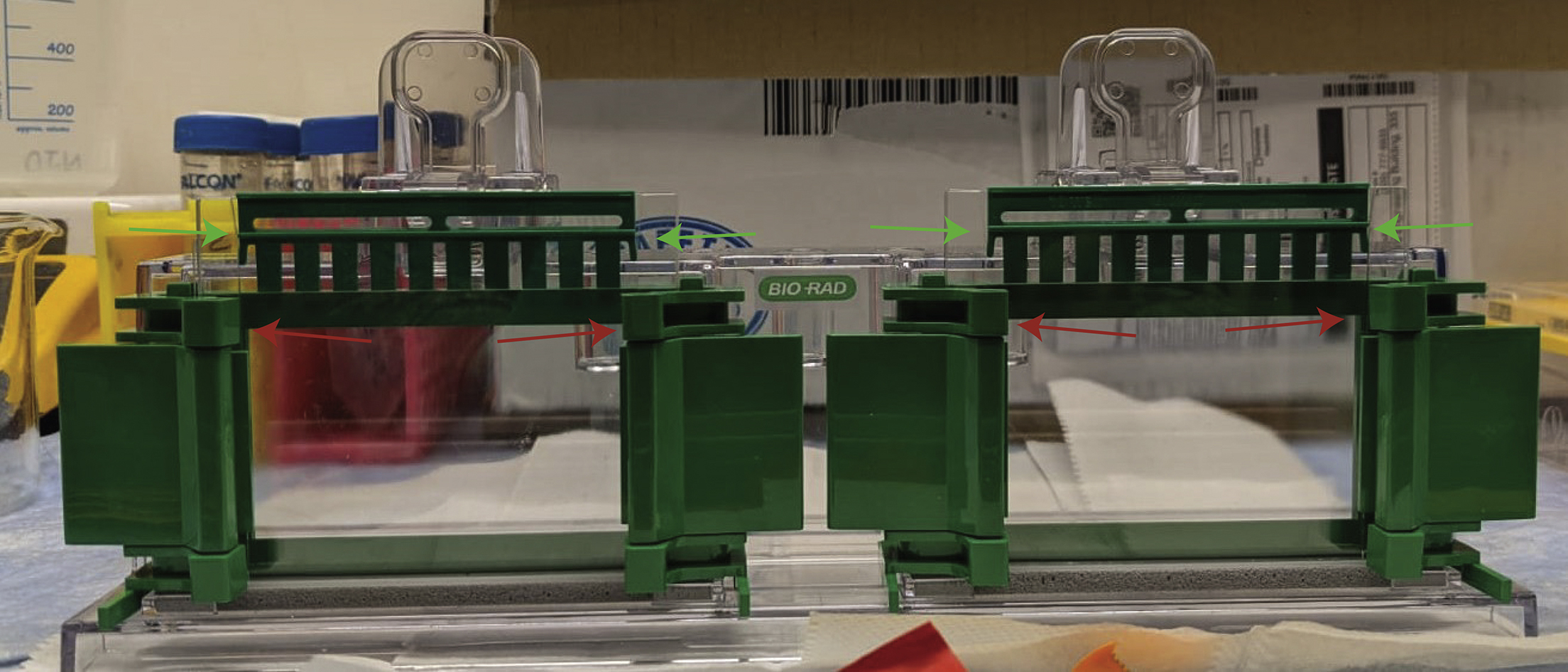 Cell Press: STAR Protocols