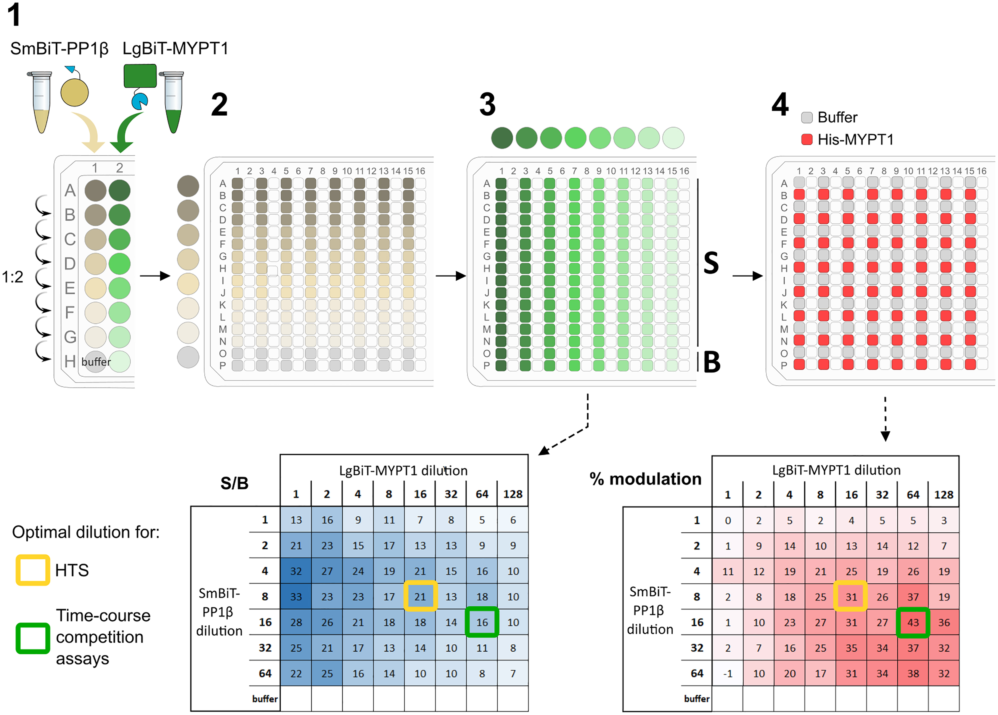Cell Press: STAR Protocols