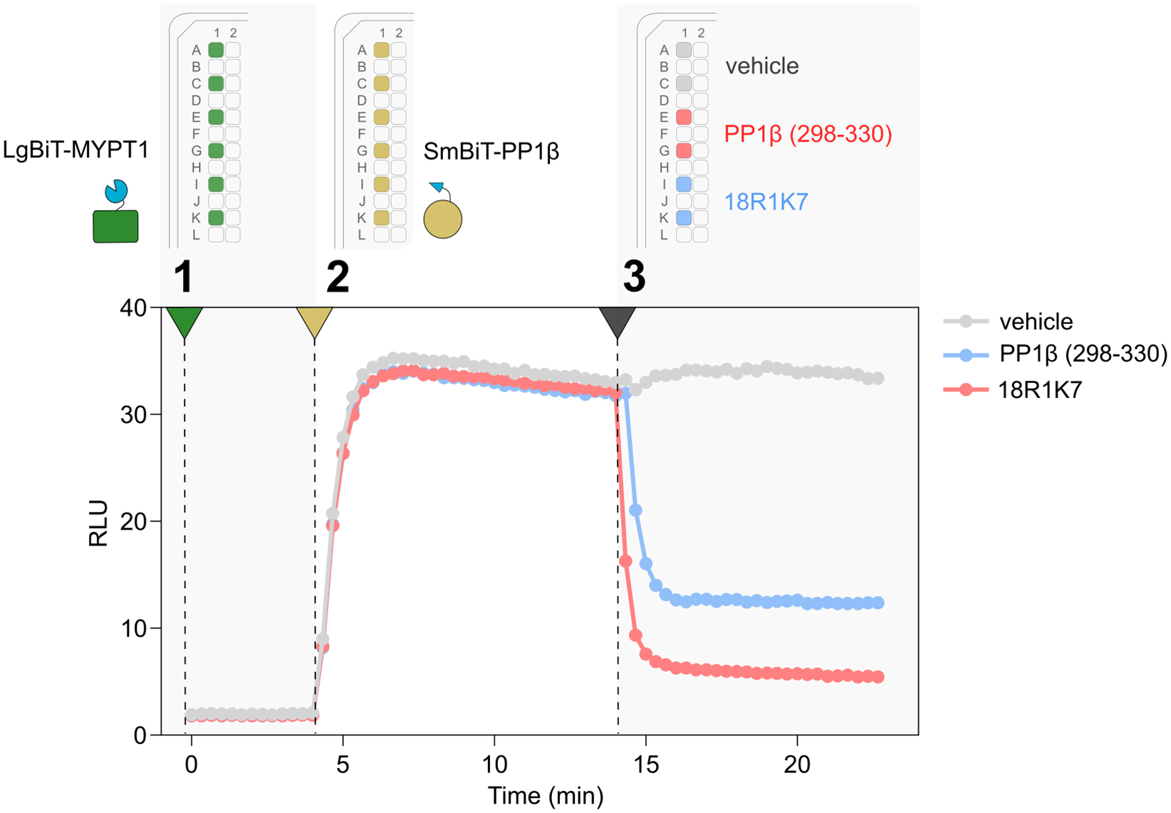 Cell Press: STAR Protocols