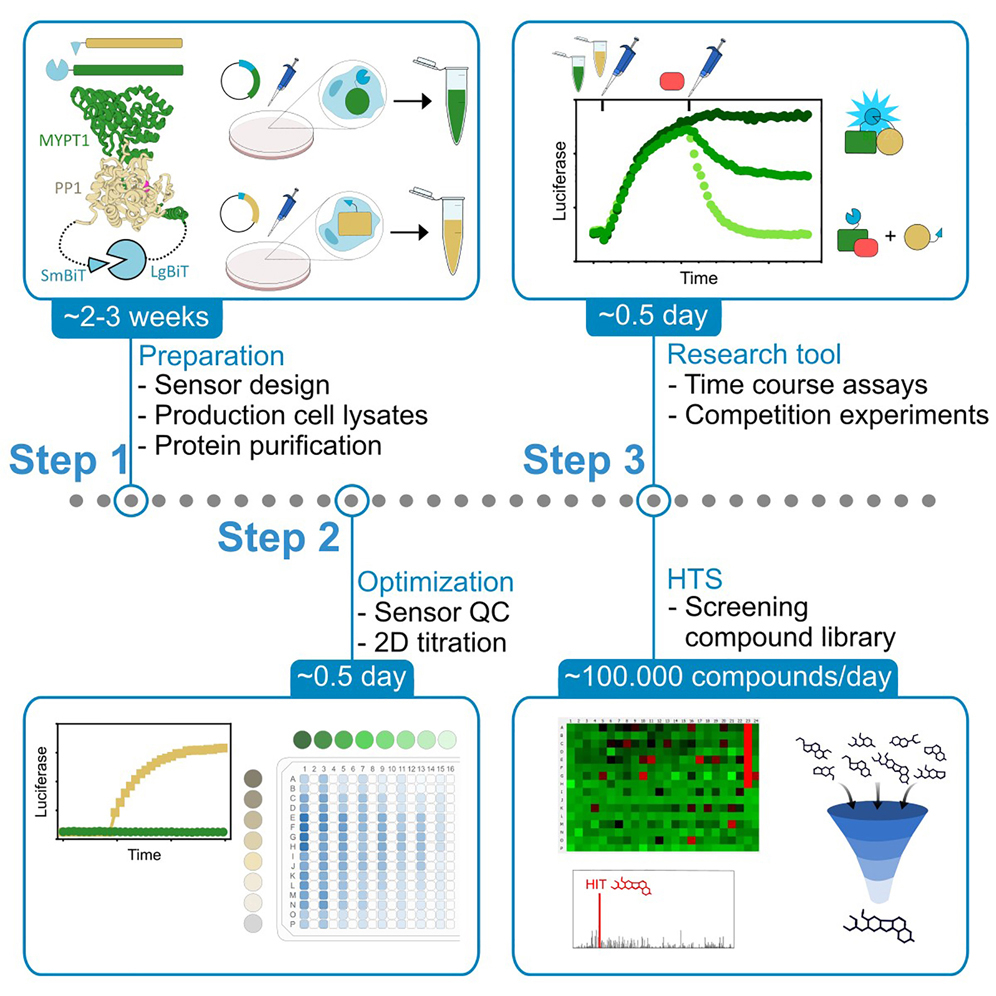 Cell Press: STAR Protocols