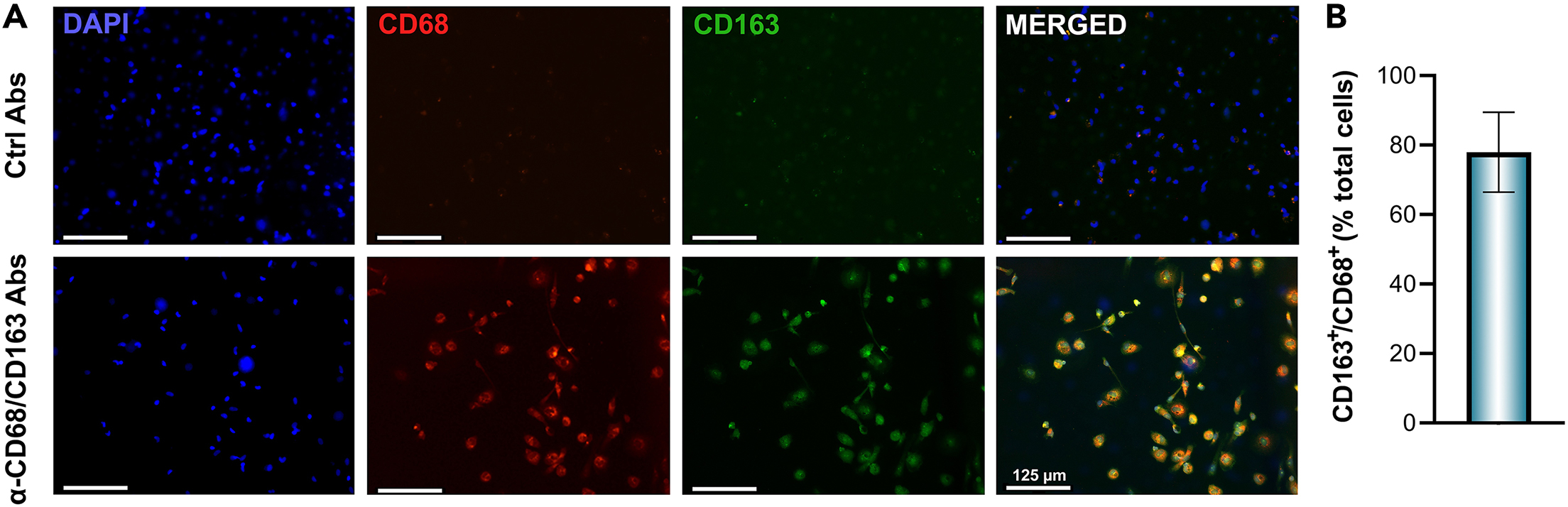 Cell Press: STAR Protocols