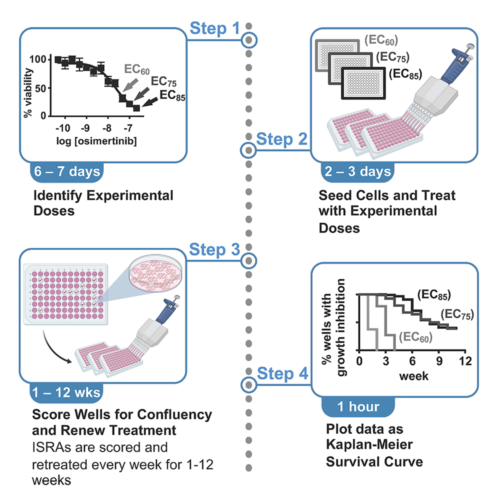 Cell Press: STAR Protocols