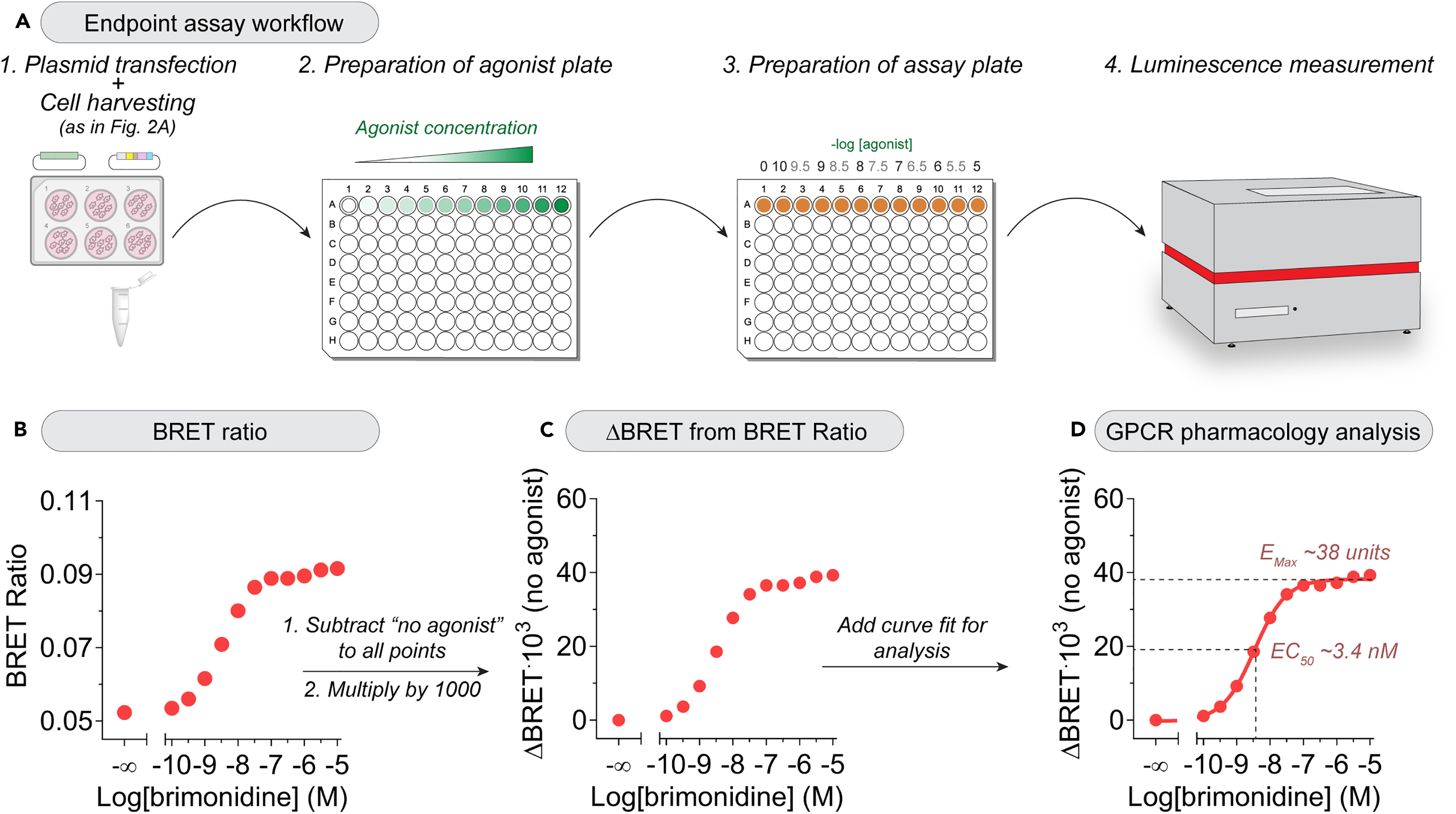 Cell Press: STAR Protocols