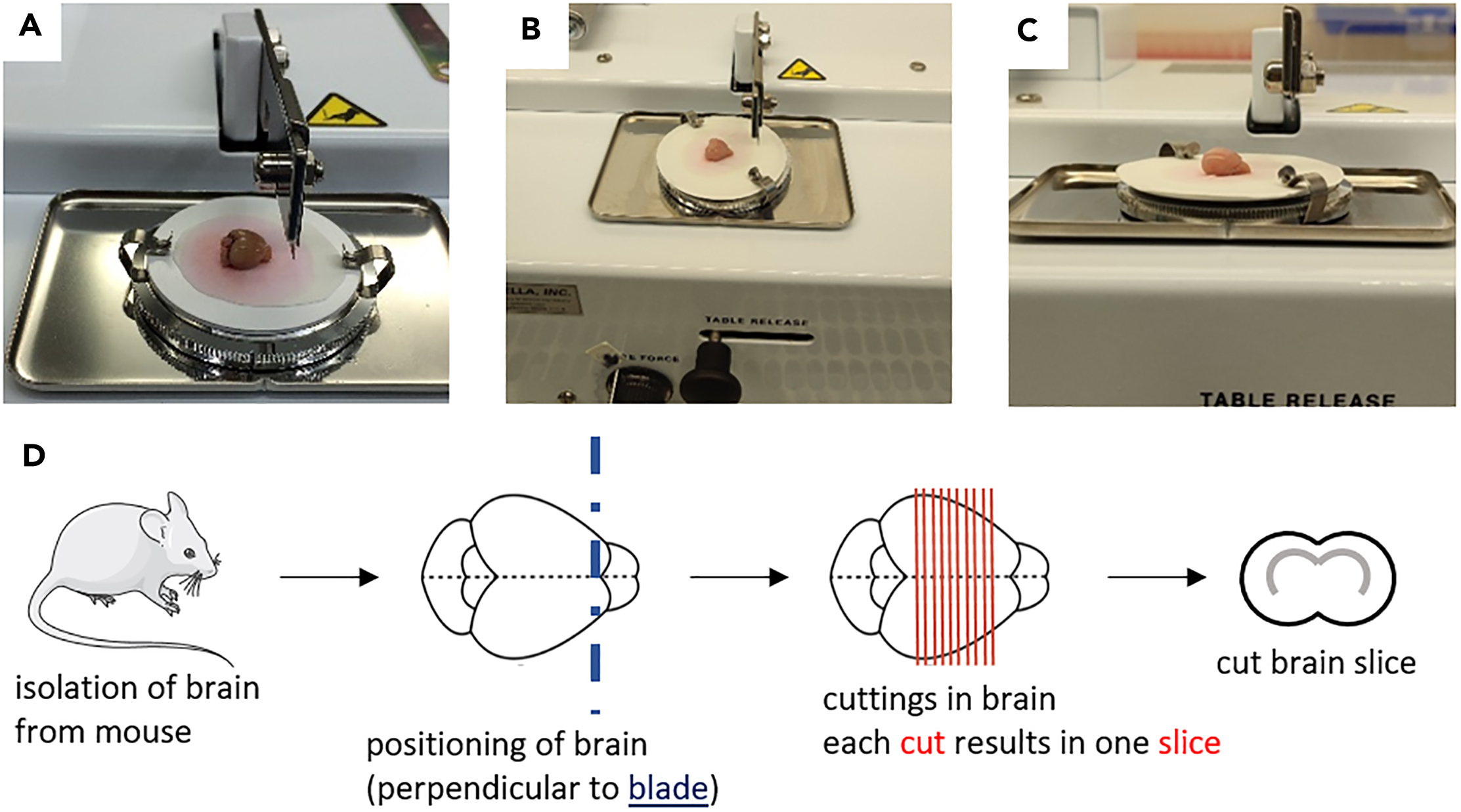 Imlíne Slice Muisiriún