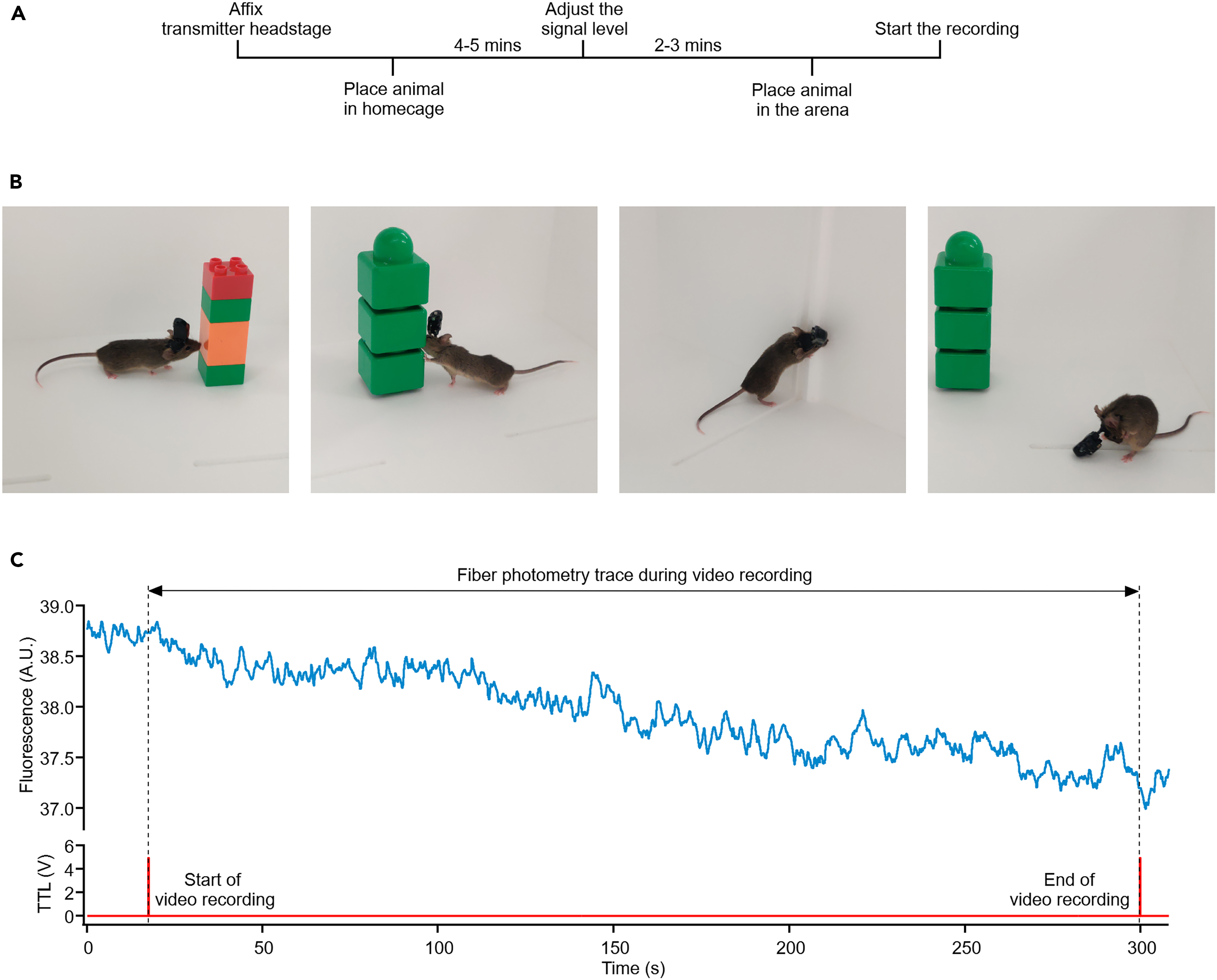 Cell Press: STAR Protocols