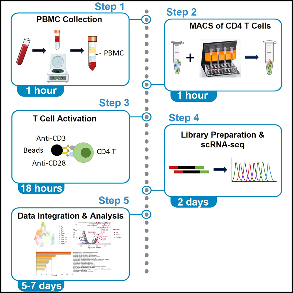 Cell Press: STAR Protocols