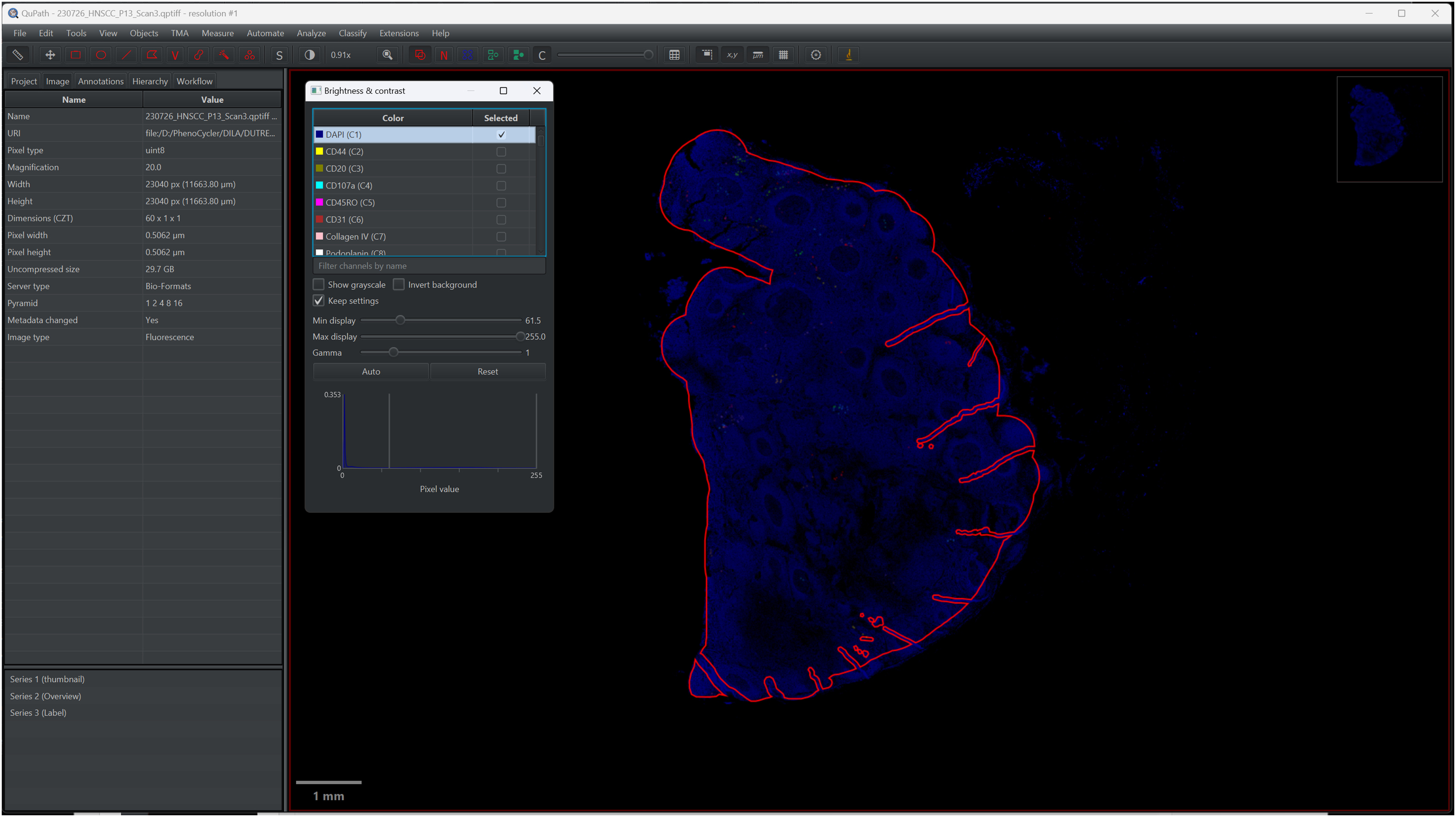 Cell Press: STAR Protocols