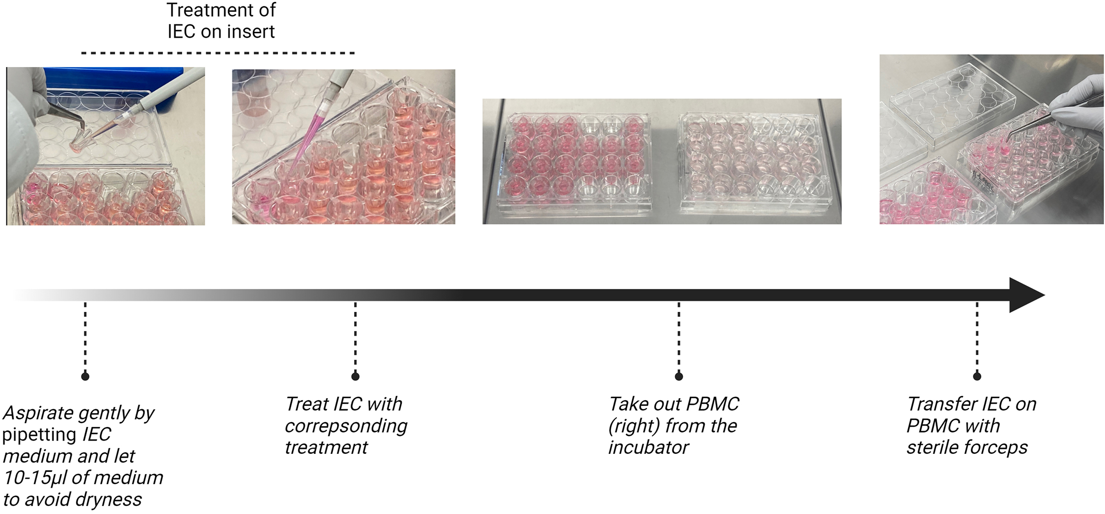 Cell Press: STAR Protocols