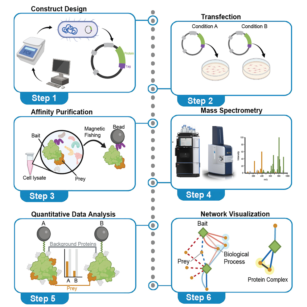 Cell Press: STAR Protocols